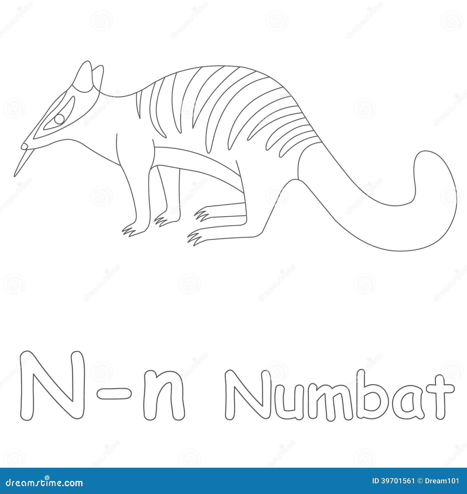 Numbat Coloring Pages