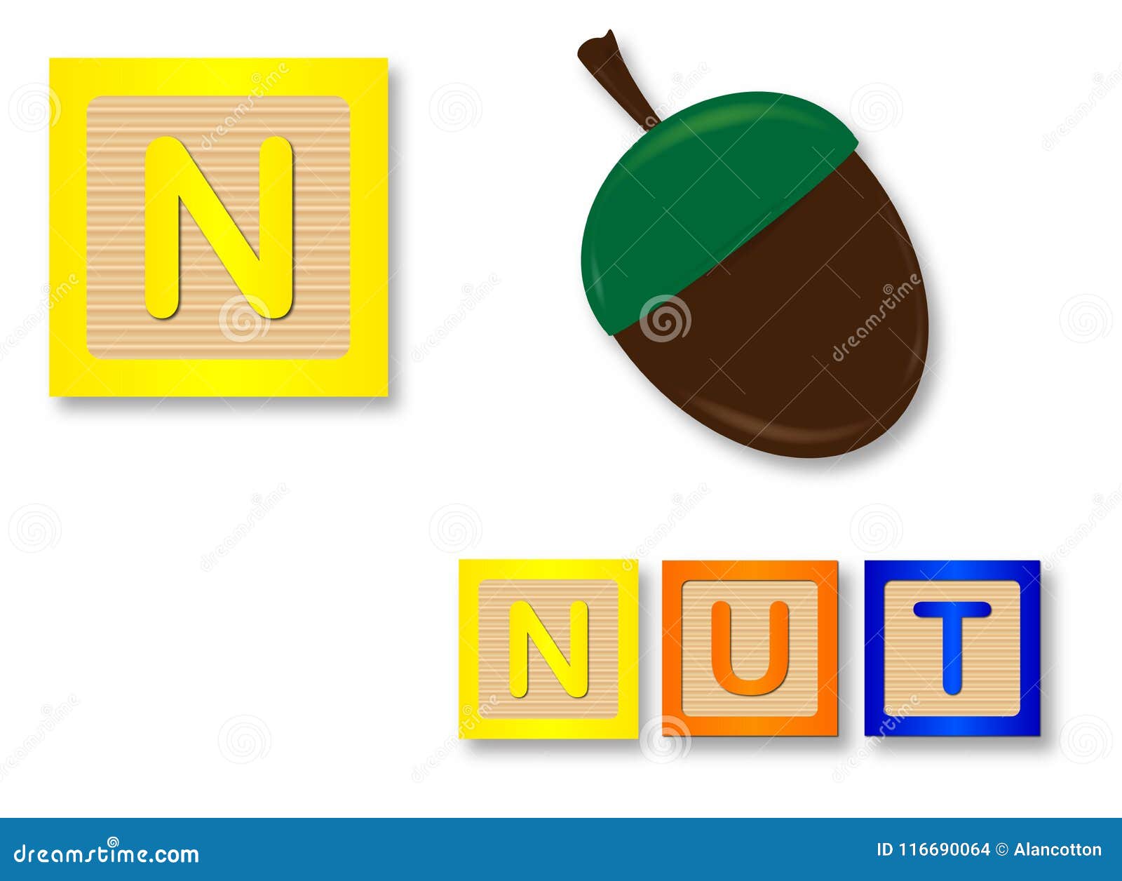 N is for Nut stock vector. Illustration of child, alphabet - 116690064