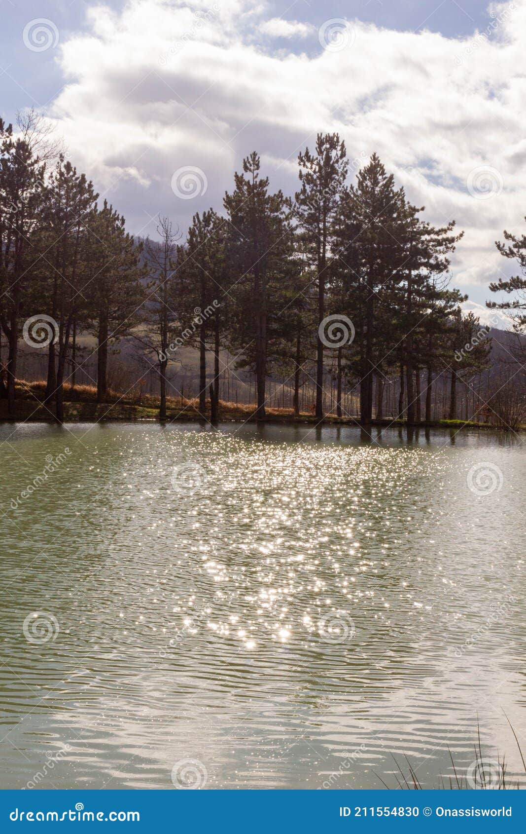 N Park Lake Natural Ambient with Trees, Grass Stock Photo - Image of ...