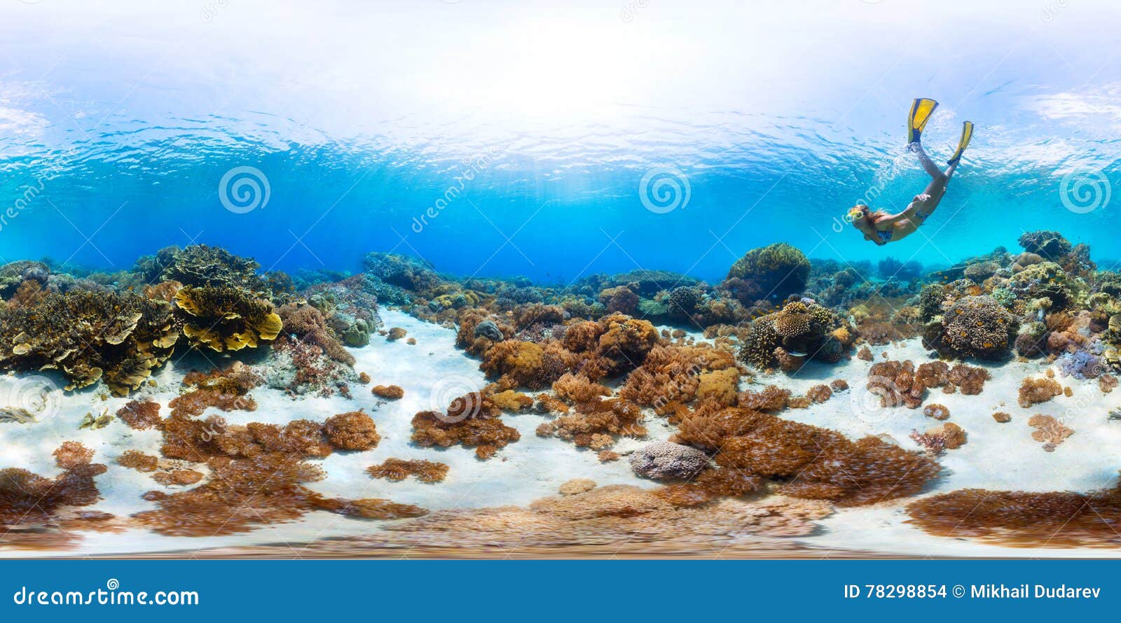 Naadloos Panorama Van De Zeebodem Stock Foto - Image of ertsader ...