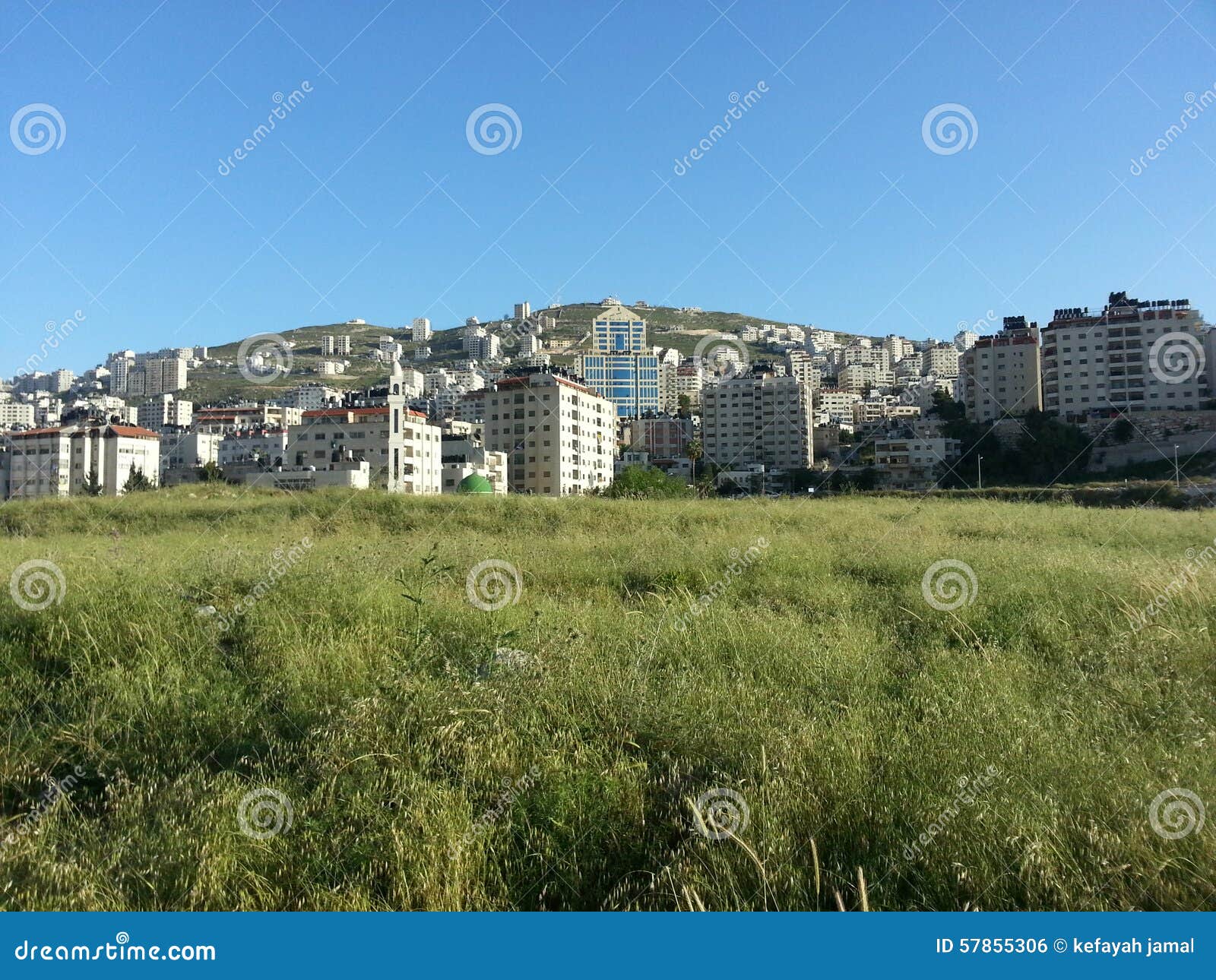 Nablus stock photo. Image of palestine, natural, nablus - 57855306