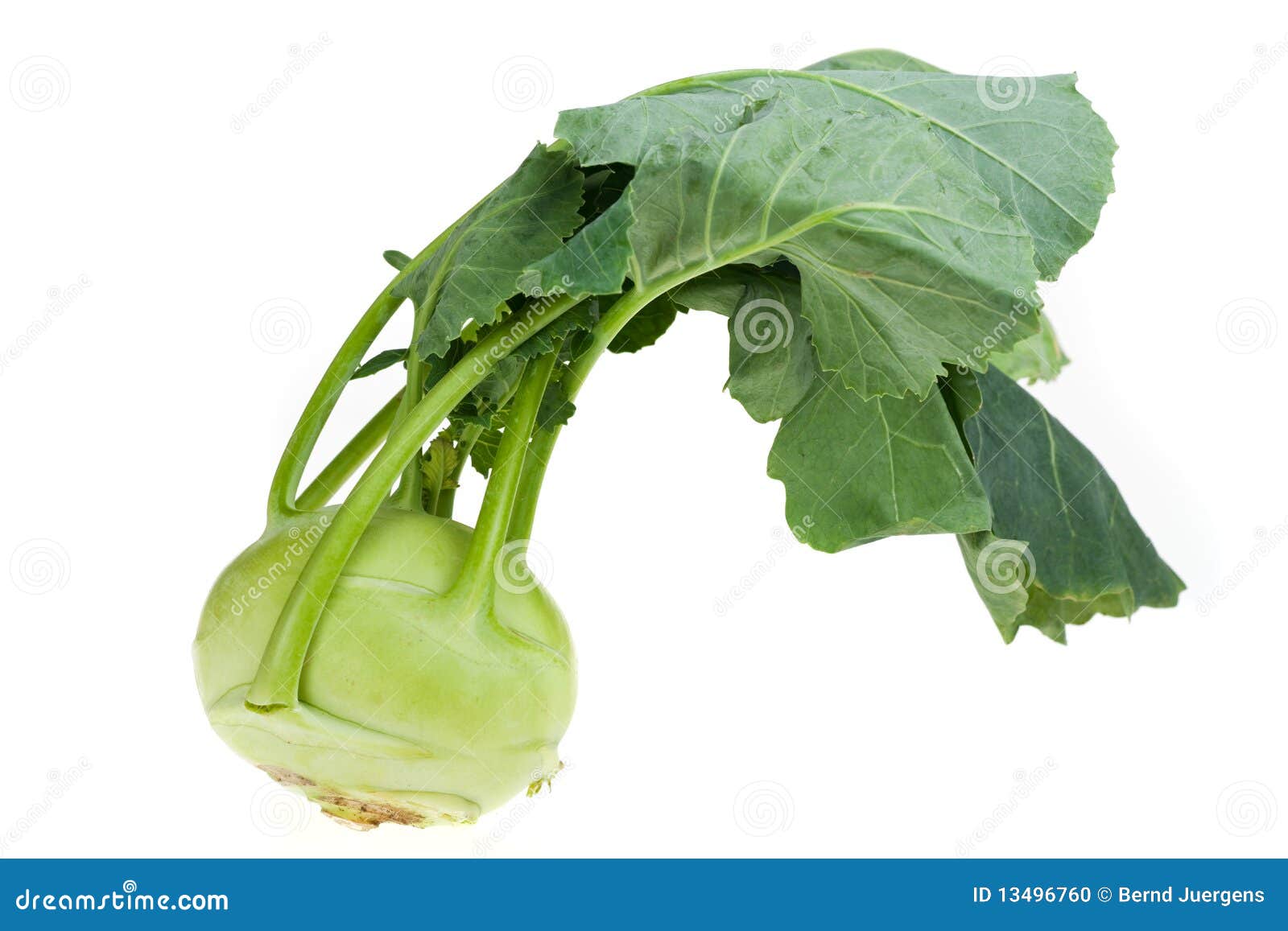 Nabo foto de archivo. Imagen de fondo, aislado, sano - 13496760
