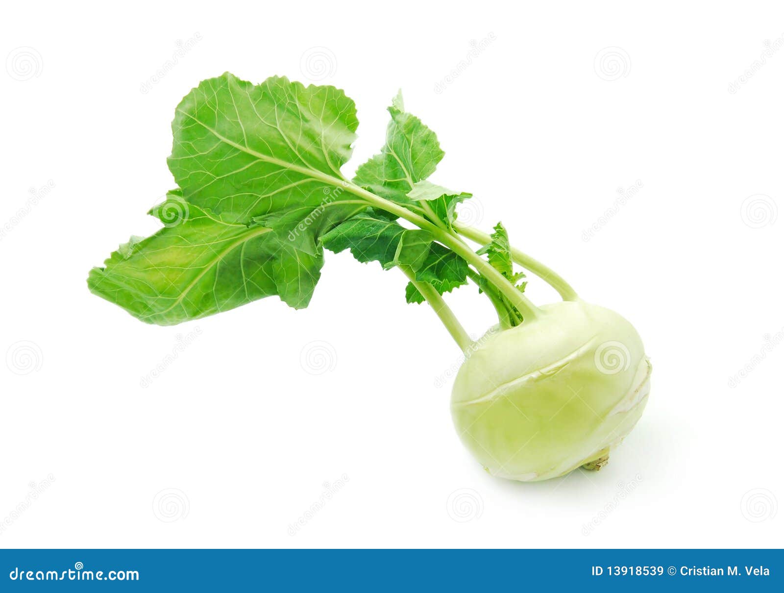 Nabo imagem de stock. Imagem de vitaminas, folha, planta - 13918539