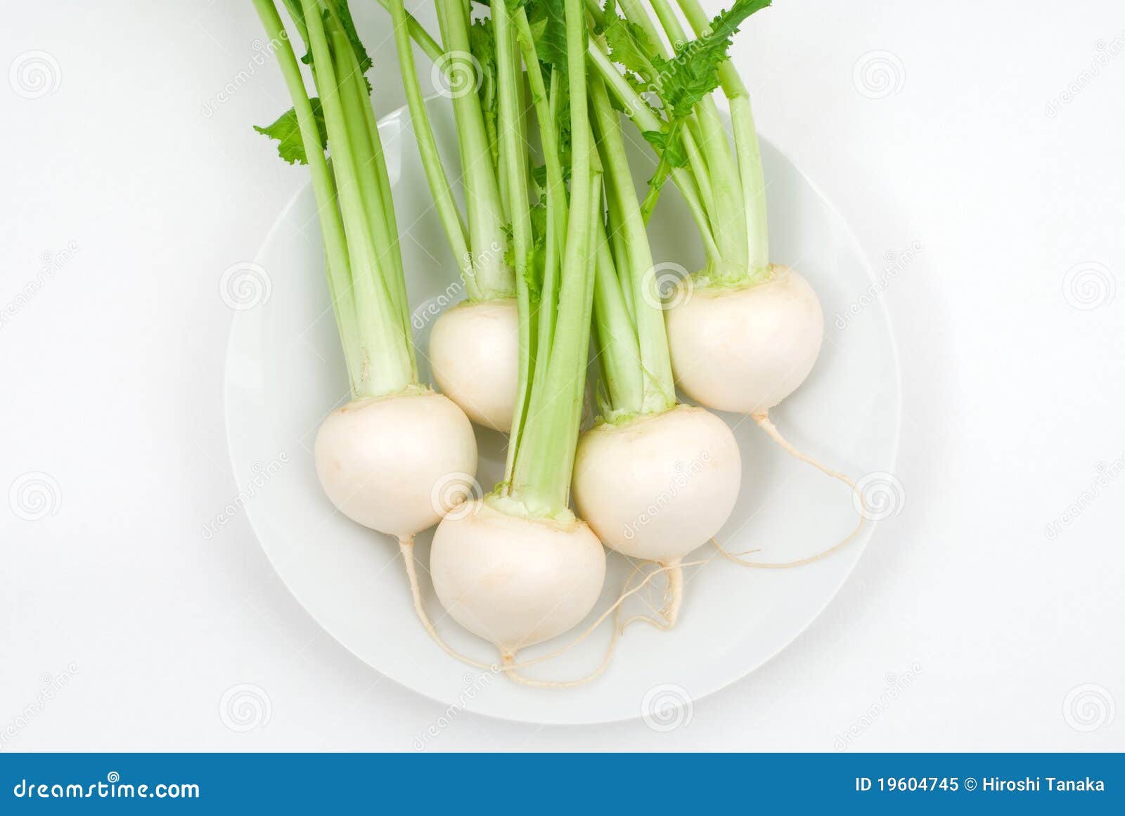 Nabo imagen de archivo. Imagen de fresco, materiales - 19604745