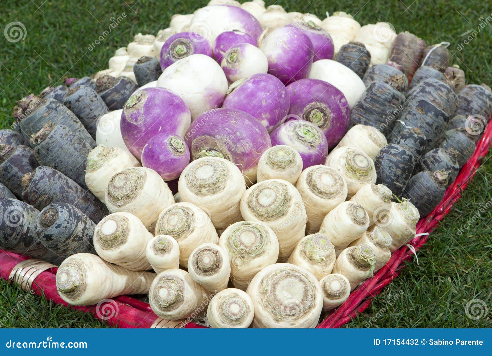 Nabo y zanahoria foto de archivo. Imagen de cesta, fresco - 17154432