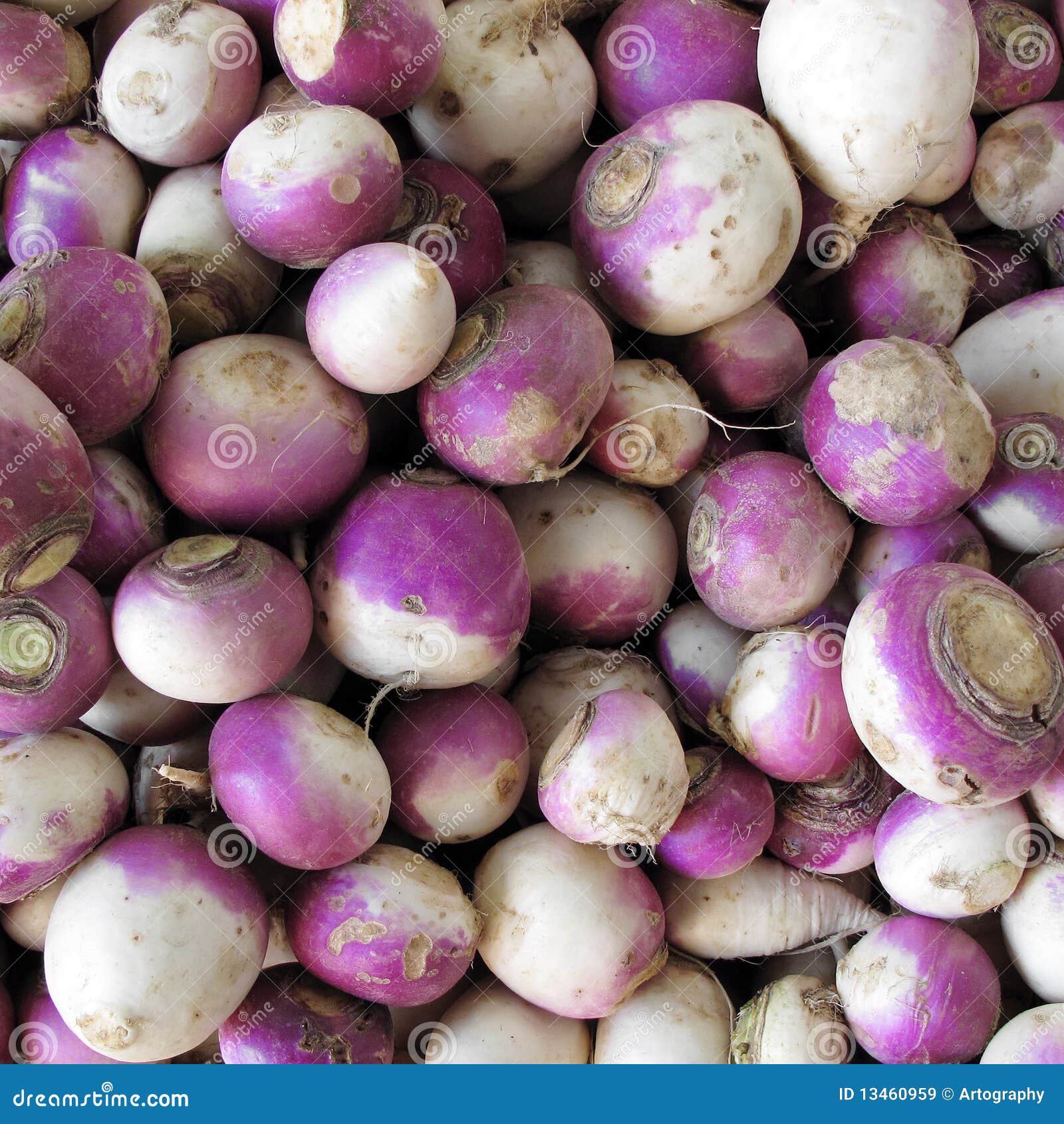 Nabos imagem de stock. Imagem de nutritivo, mercado, grupo - 13460959