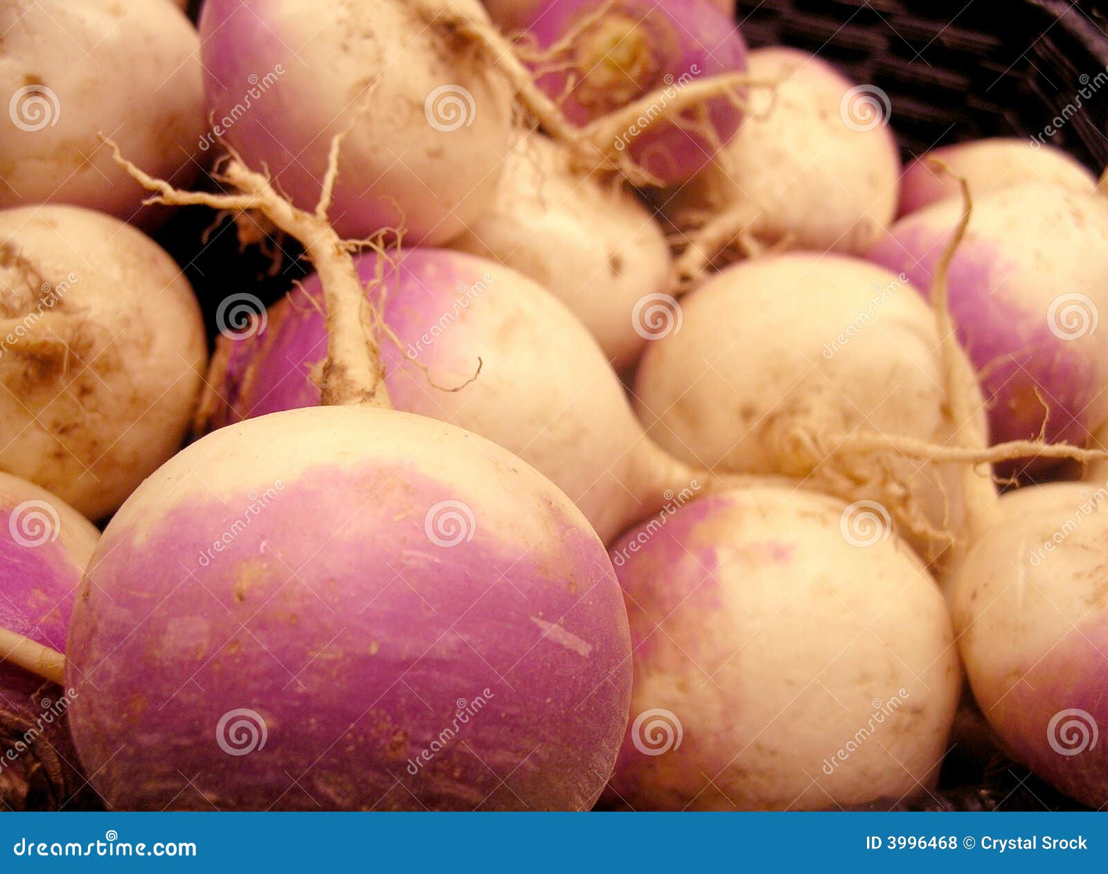 Nabos foto de stock. Imagem de ingrediente, vegetal, nabos - 3996468