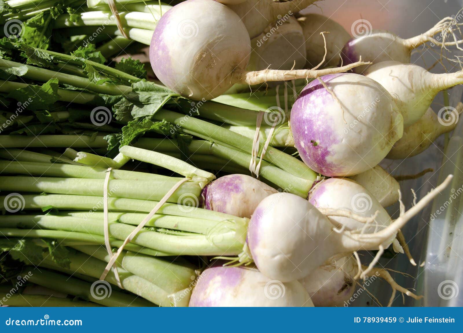 Nabos imagem de stock. Imagem de motim, vegetal, nabos - 78939459