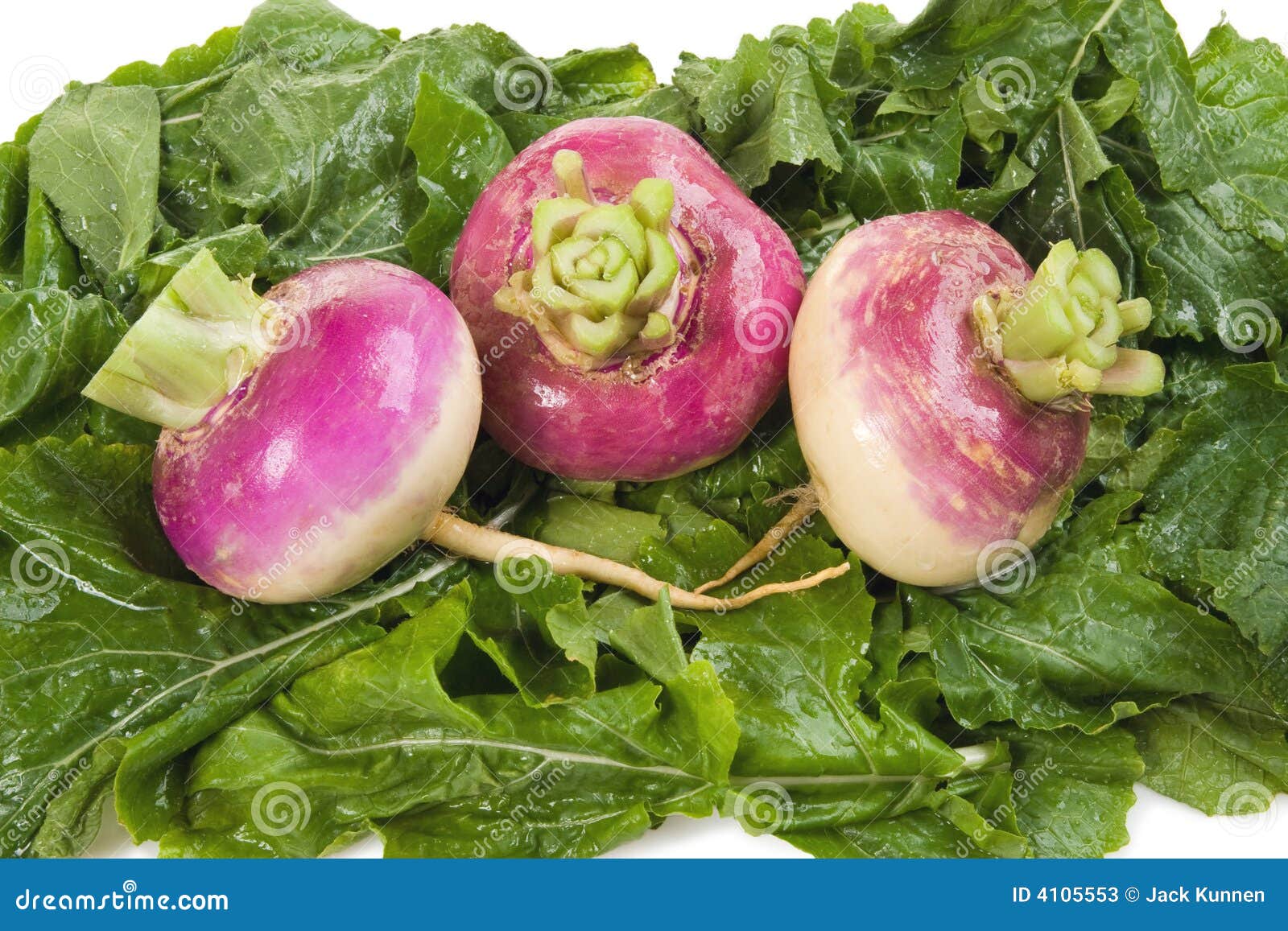 Nabos En Una Cama De Verdes Imagen de archivo - Imagen de mercado ...