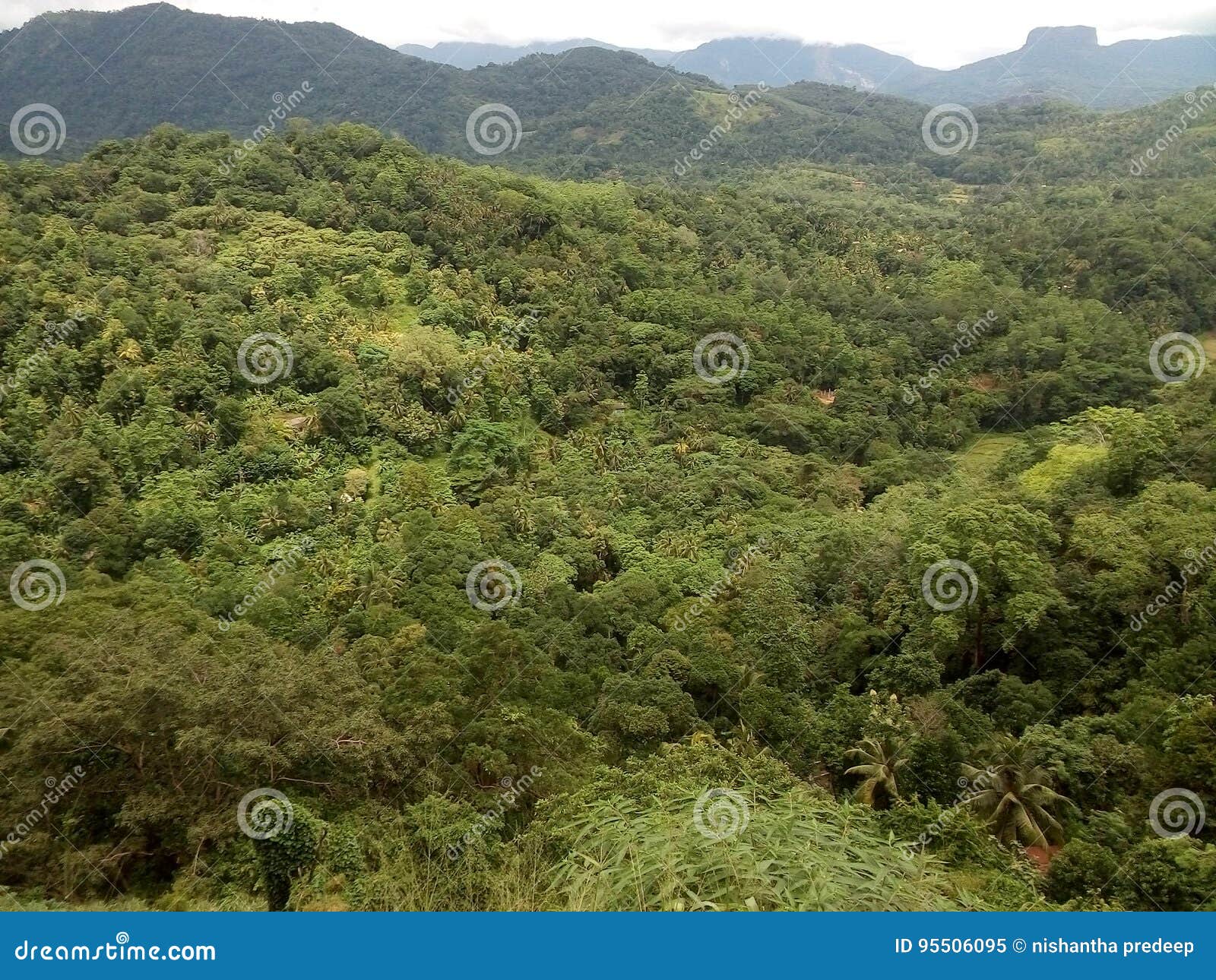 Nachar stock image. Image of kandy, road, nachar, nice - 95506095