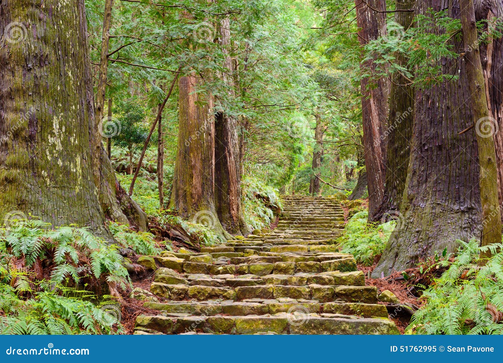 Nachi Japan immagine stock. Immagine di salita, escursionismo - 51762995