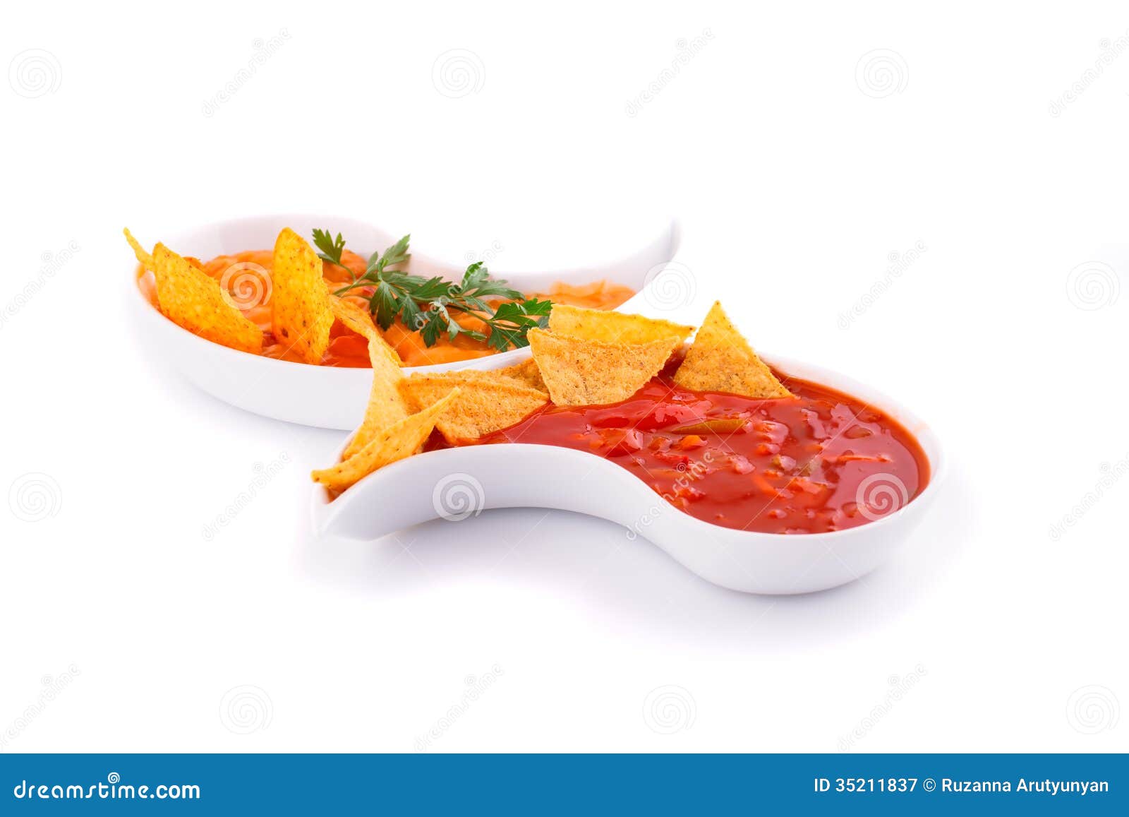 Nachos, Cheese and Red Sauce Stock Image - Image of fresh, onion: 35211837
