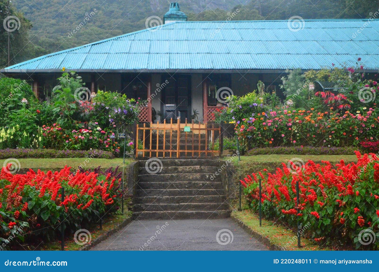 Nachural beauty garden stock image. Image of farm, garden - 220248011