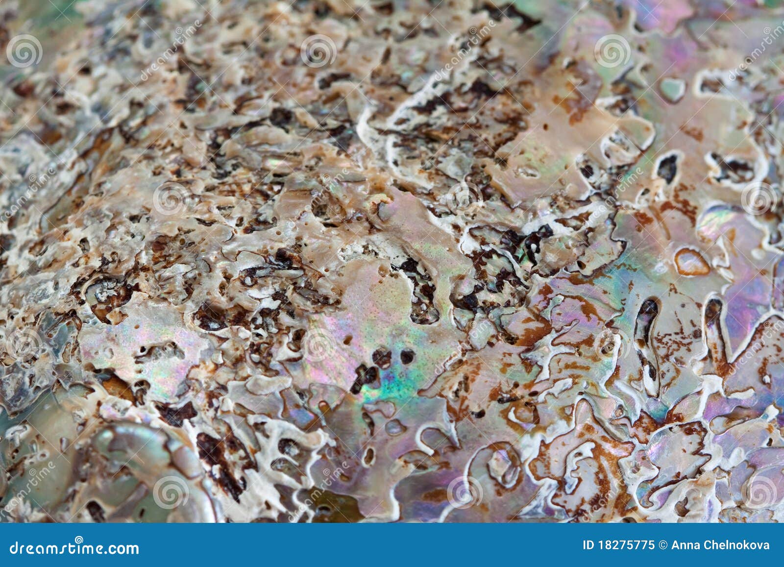 Nacre background. stock image. Image of background, color - 18275775