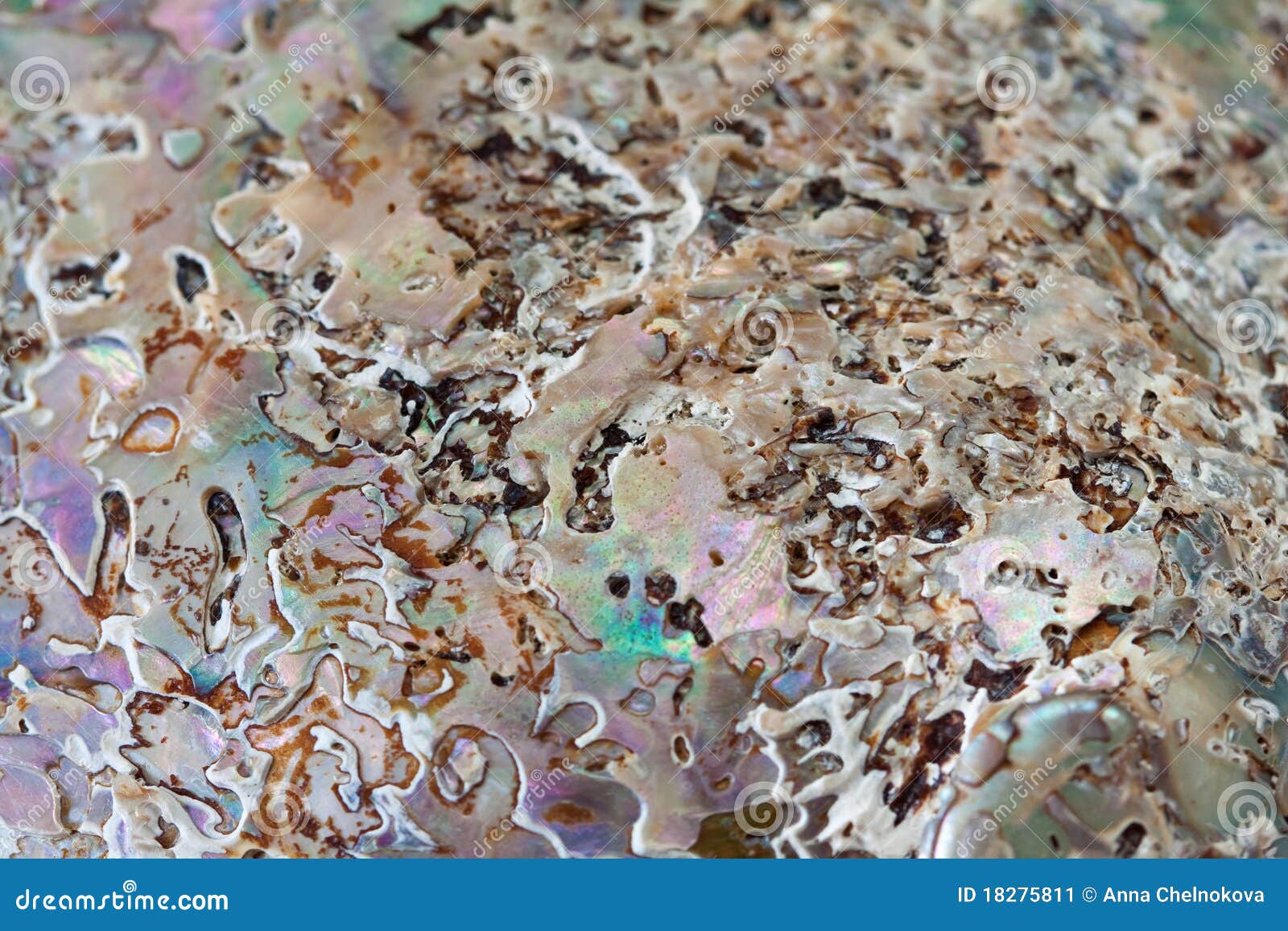 Nacre background. stock image. Image of iridescent, abstract - 18275811