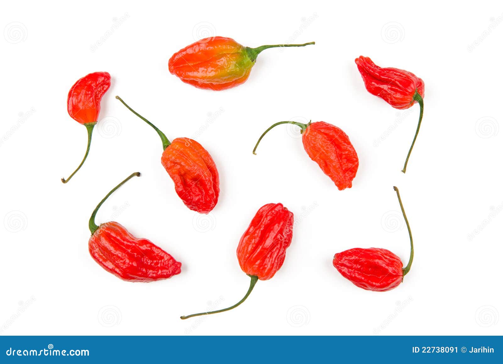 Naga morich stock image. Image of kitchen, eating, capsicum - 22738091