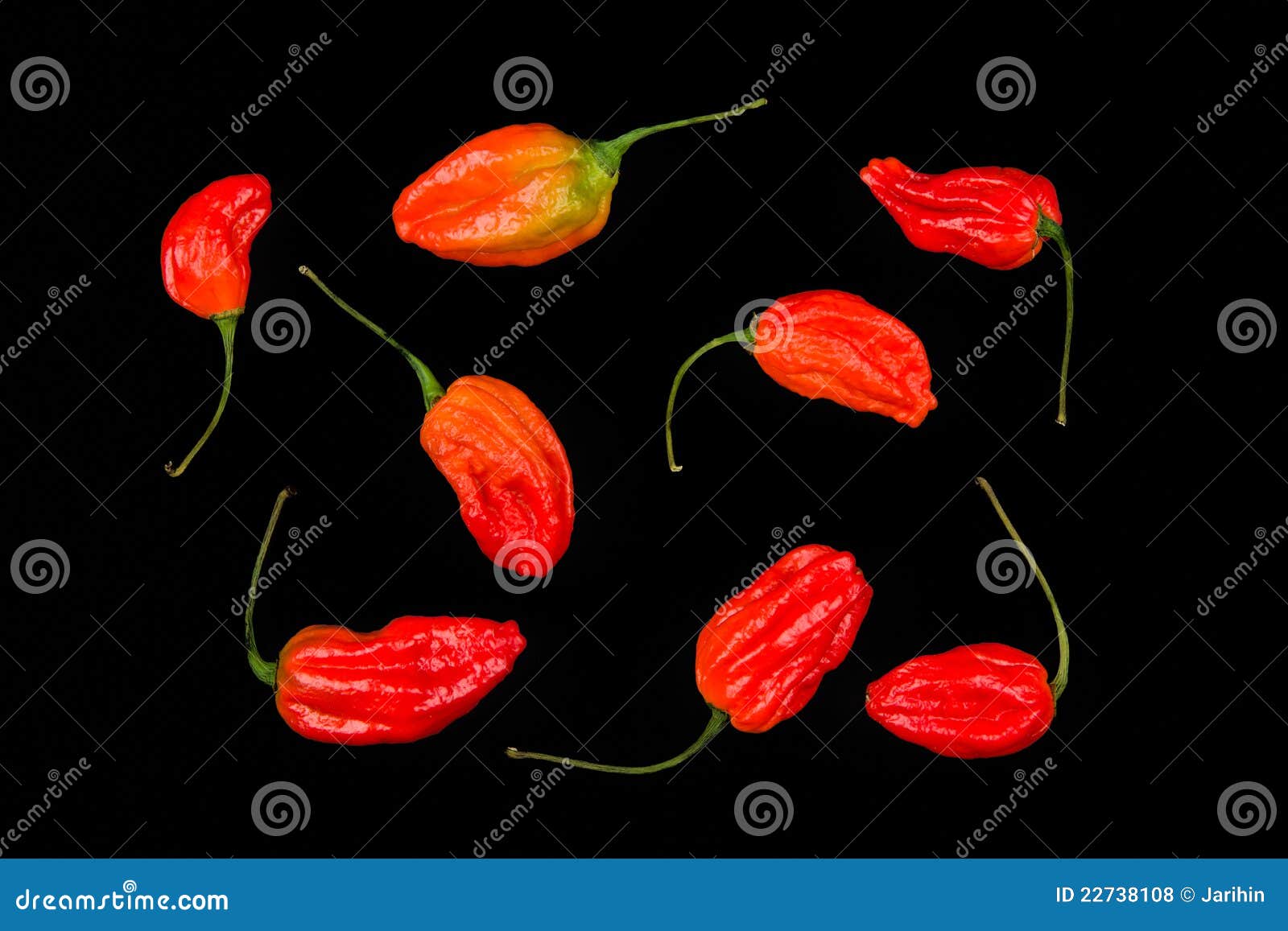 Naga morich stock photo. Image of organic, healthy, object - 22738108