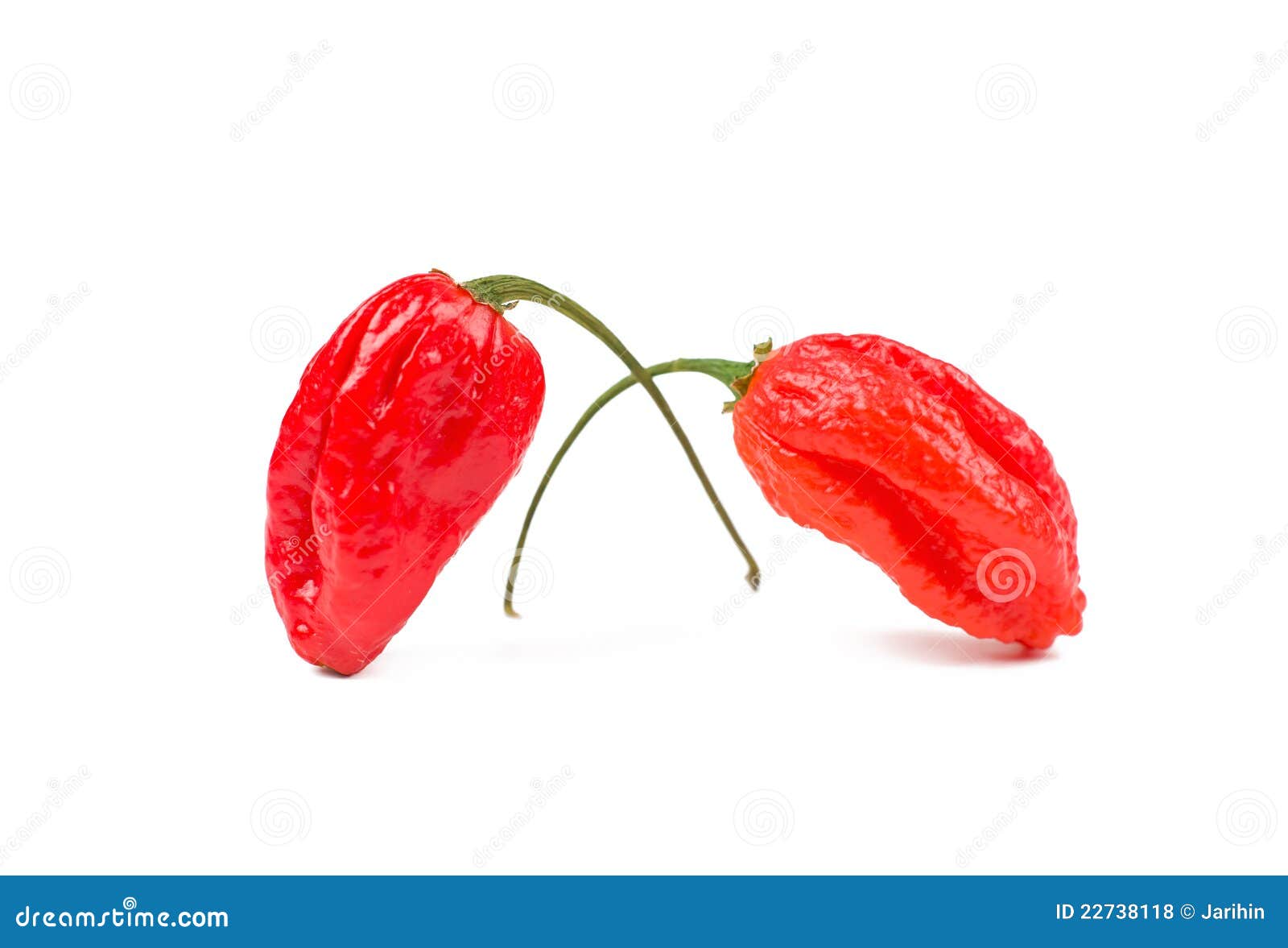 Naga morich stock photo. Image of color, couble, bell - 22738118