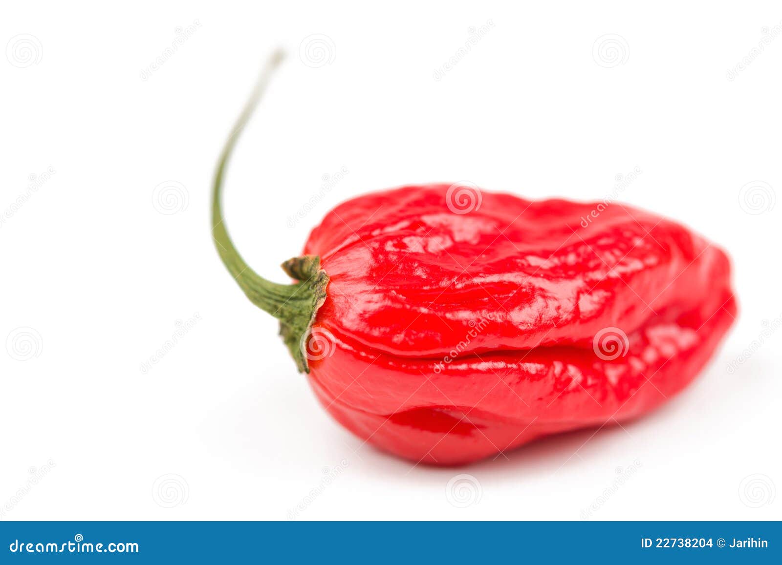 Naga morich stock photo. Image of food, morich, flavor - 22738204