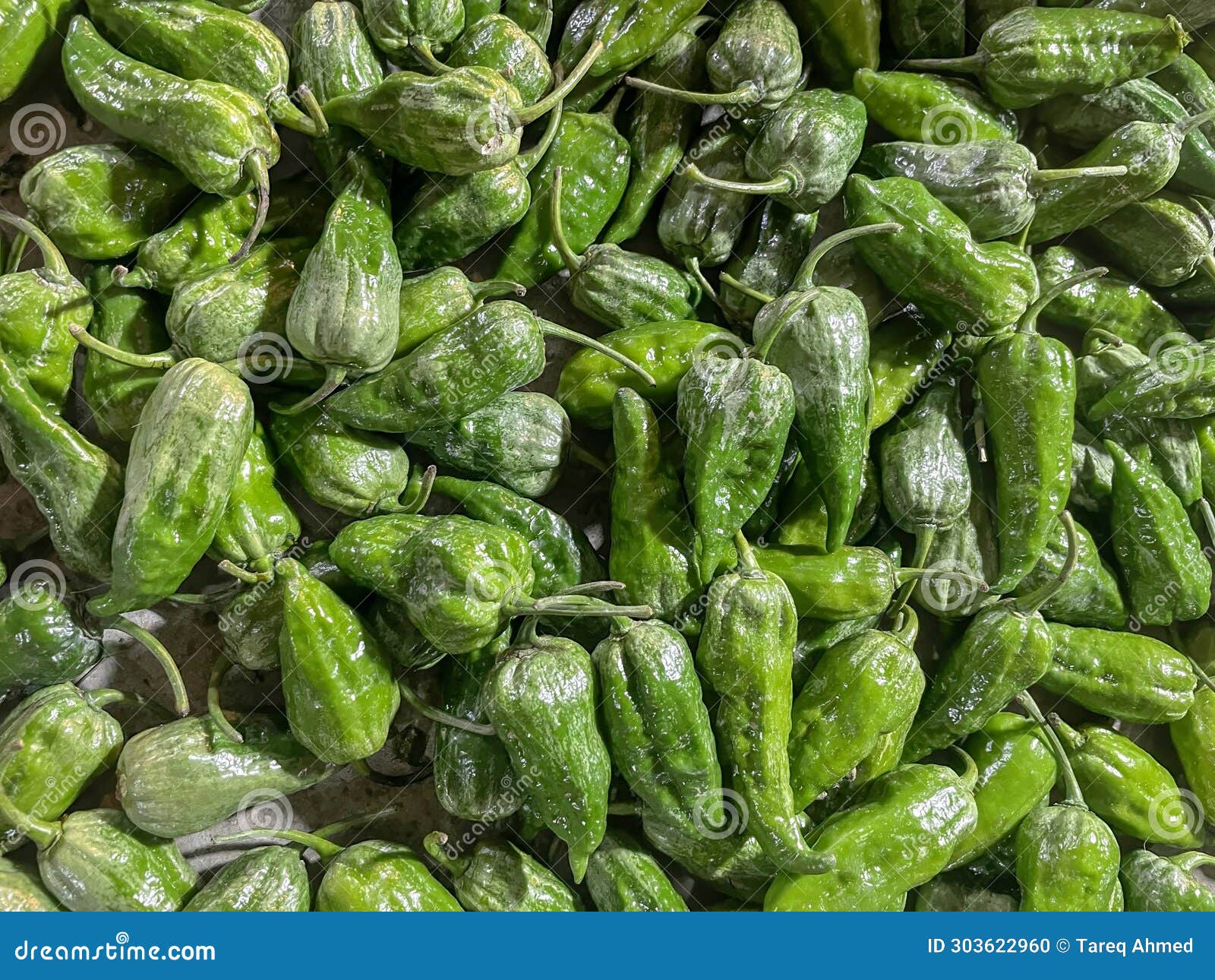Green Naga Morich stock photo. Image of india, close - 303622960 Green Naga Morich stock photo. Image of india, close - 303622960