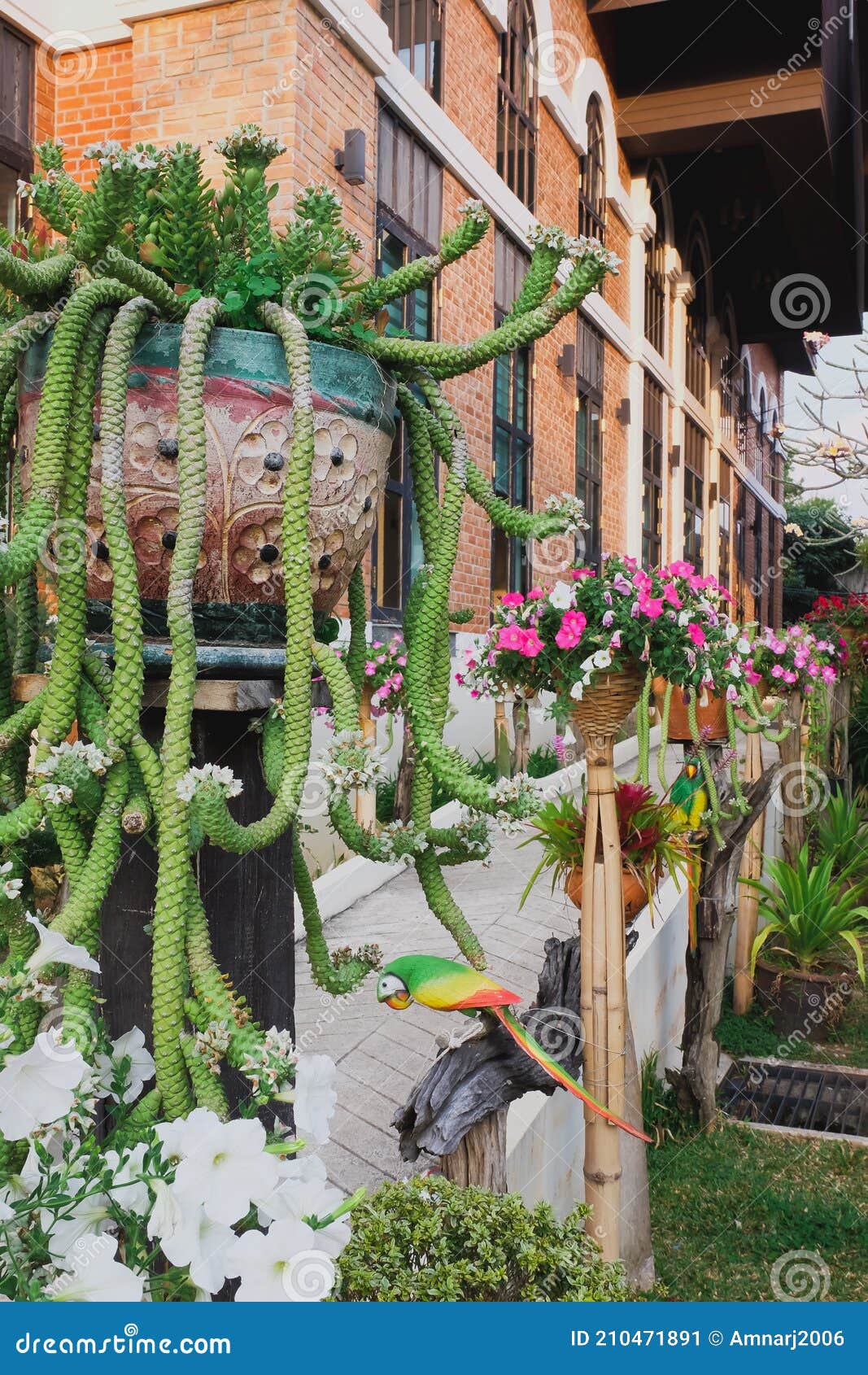 Naga Plants Growing in Pot on Way Stock Image - Image of floral ...