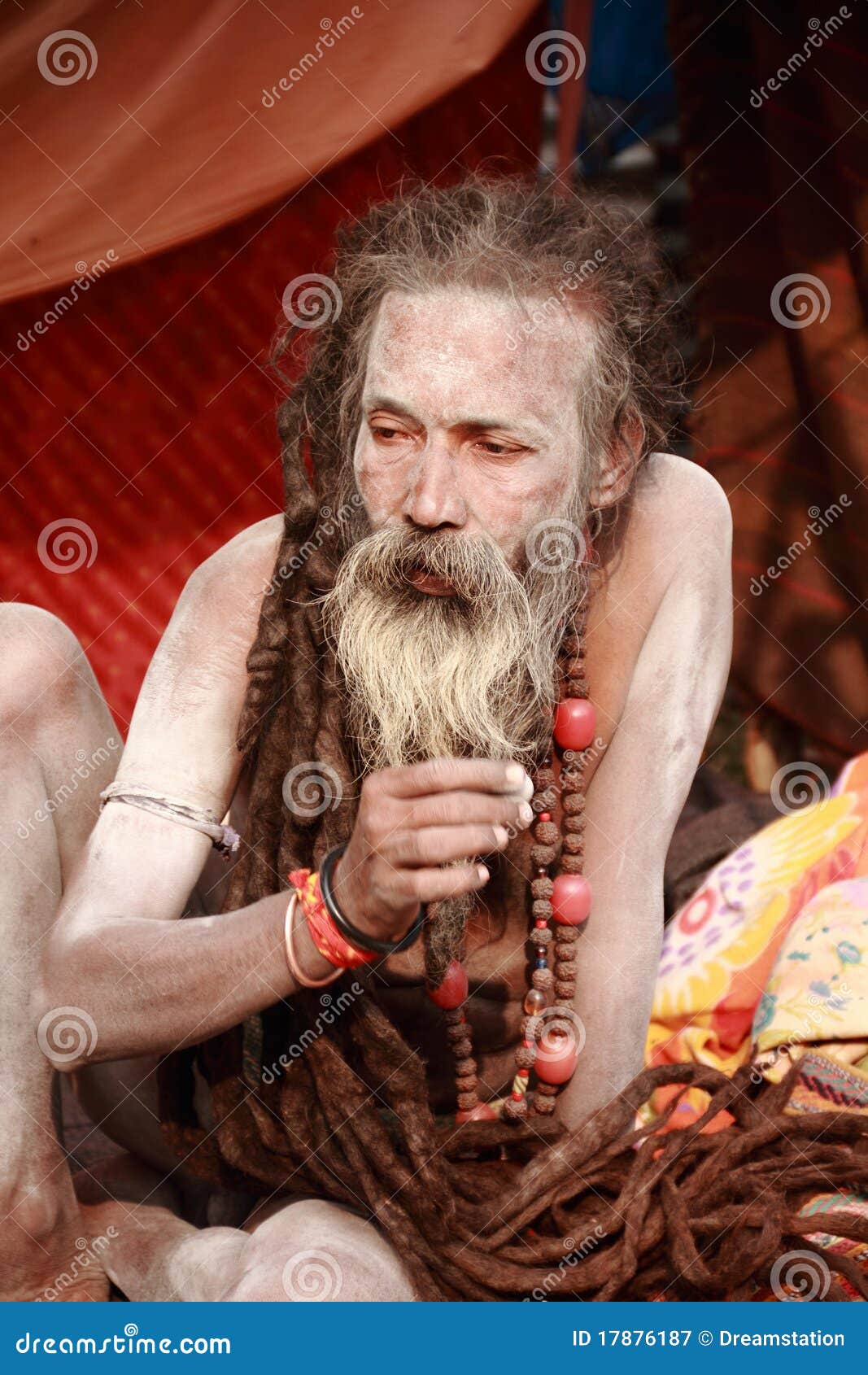 The Blessings Of A Sadhu (holy Man) Captured Through Iron Railings ...