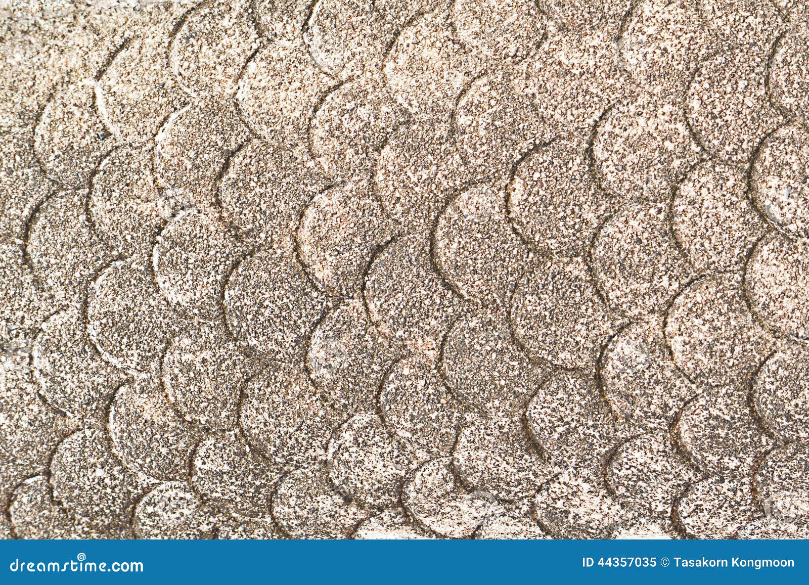 Naga Scale for Pattern and Background Stock Image - Image of glass ...