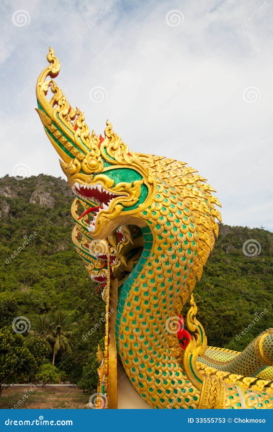 Naga stock image. Image of snake, gold, tracery, bits - 33555753