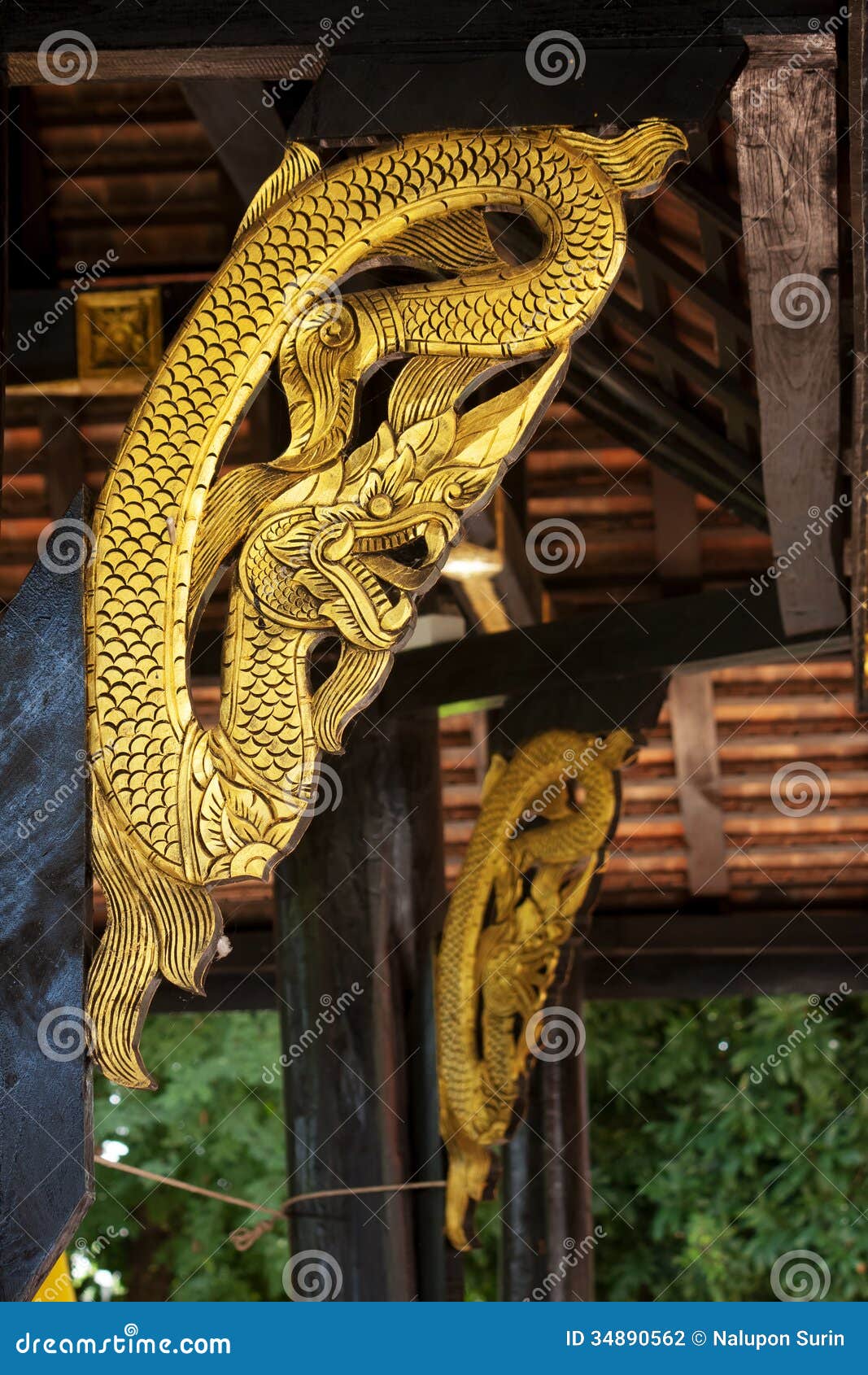 Two Naga In Temple Stock Image | CartoonDealer.com #81755173