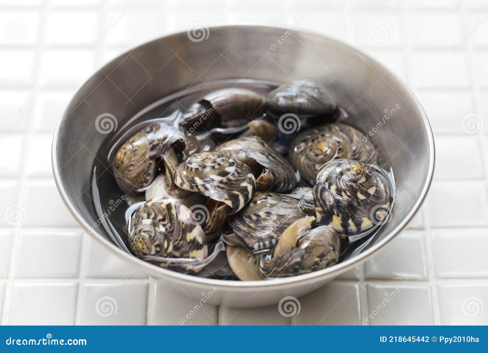 Nagarami, Japanese Sea Snail Stock Photo - Image of japanese, shellfish ...