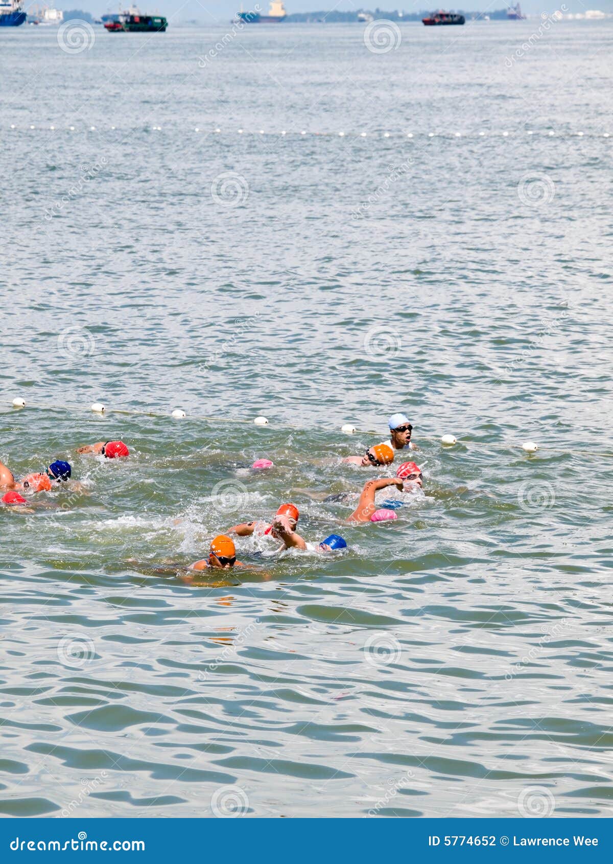 Nageurs en mer photographie éditorial. Image du récipient - 5774652