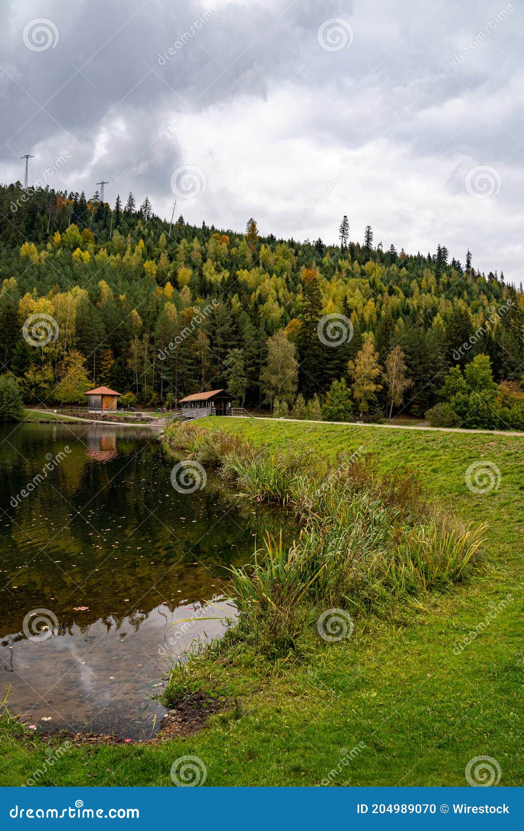 Nagold Dam at the Nagold Valley, Black Forest, Germany Stock Photo ...
