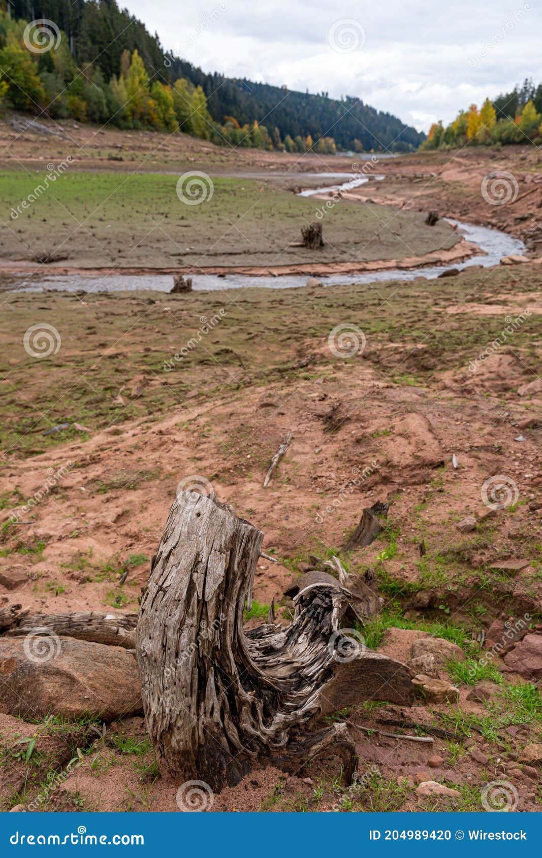 Nagold Dam at the Nagold Valley, Black Forest, Germany Stock Photo ...