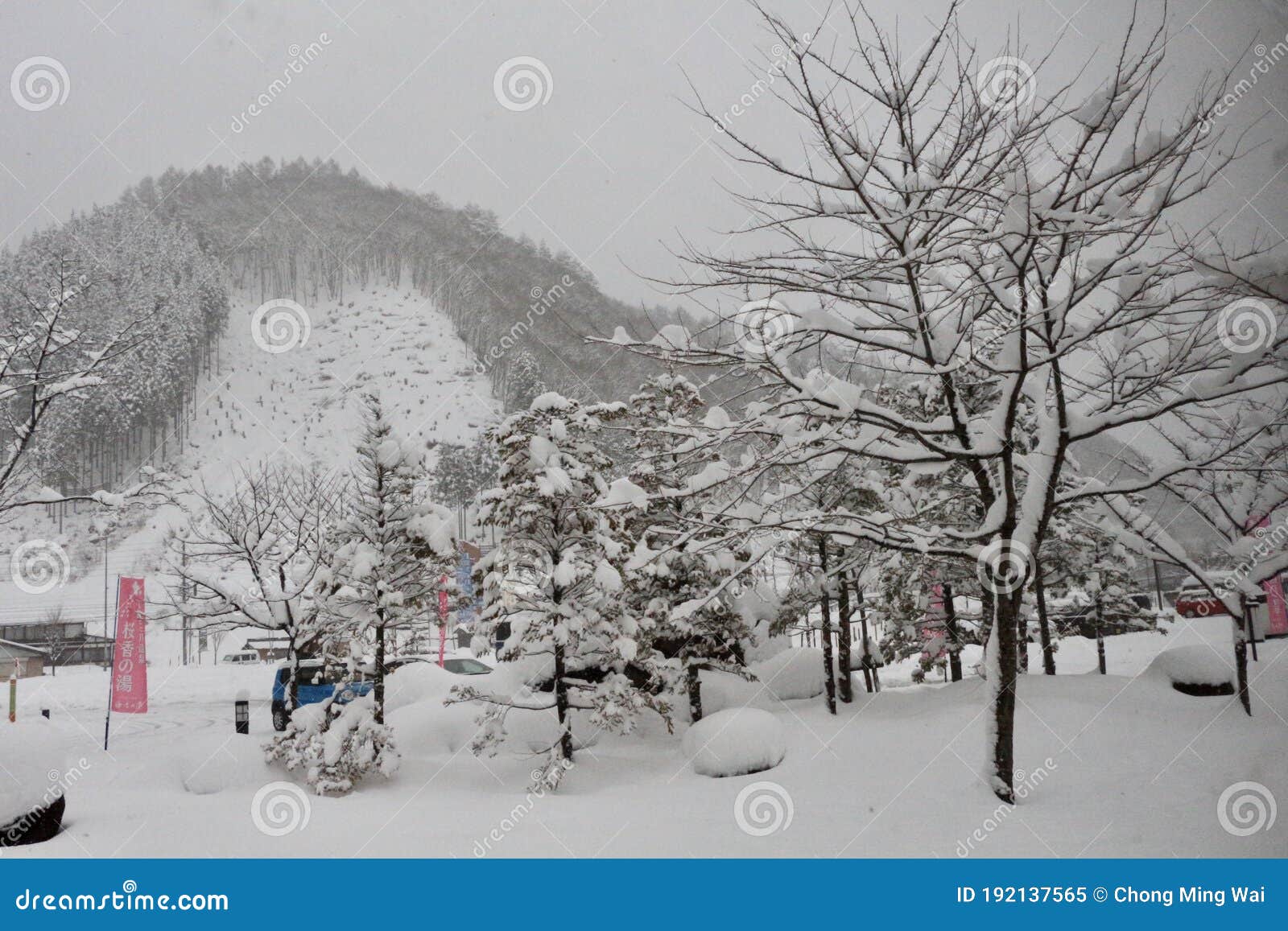 Nagoya snow scene editorial image. Image of beautiful - 192137565