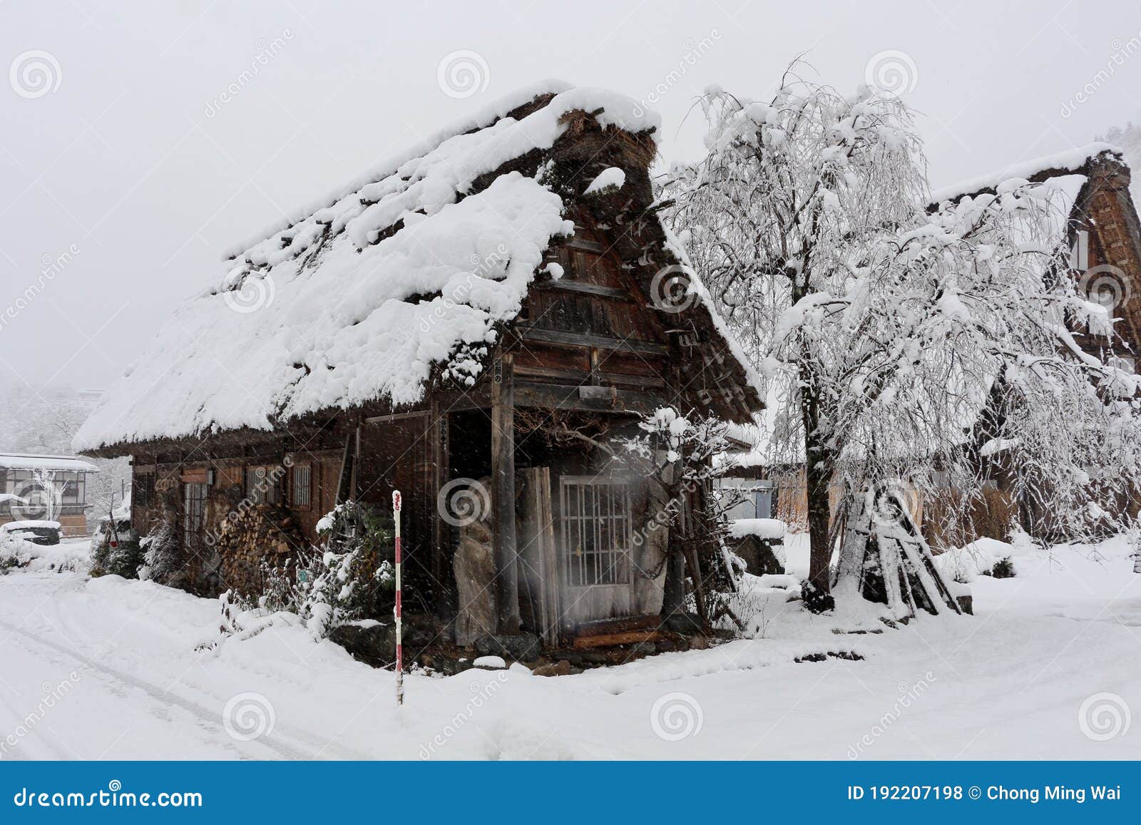 Nagoya snow scene stock photo. Image of nagoya, scene - 192207198