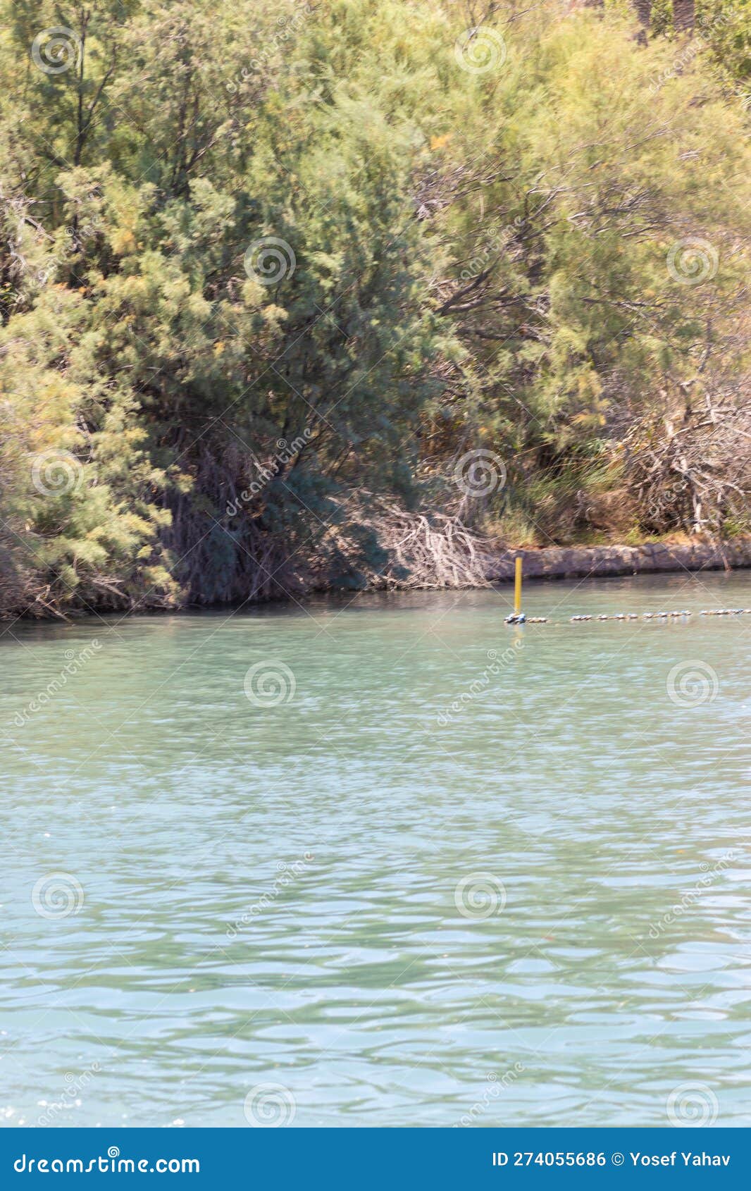 Nahal Hassi - Flows within Kibbutz Nir David. Stock Photo - Image of ...