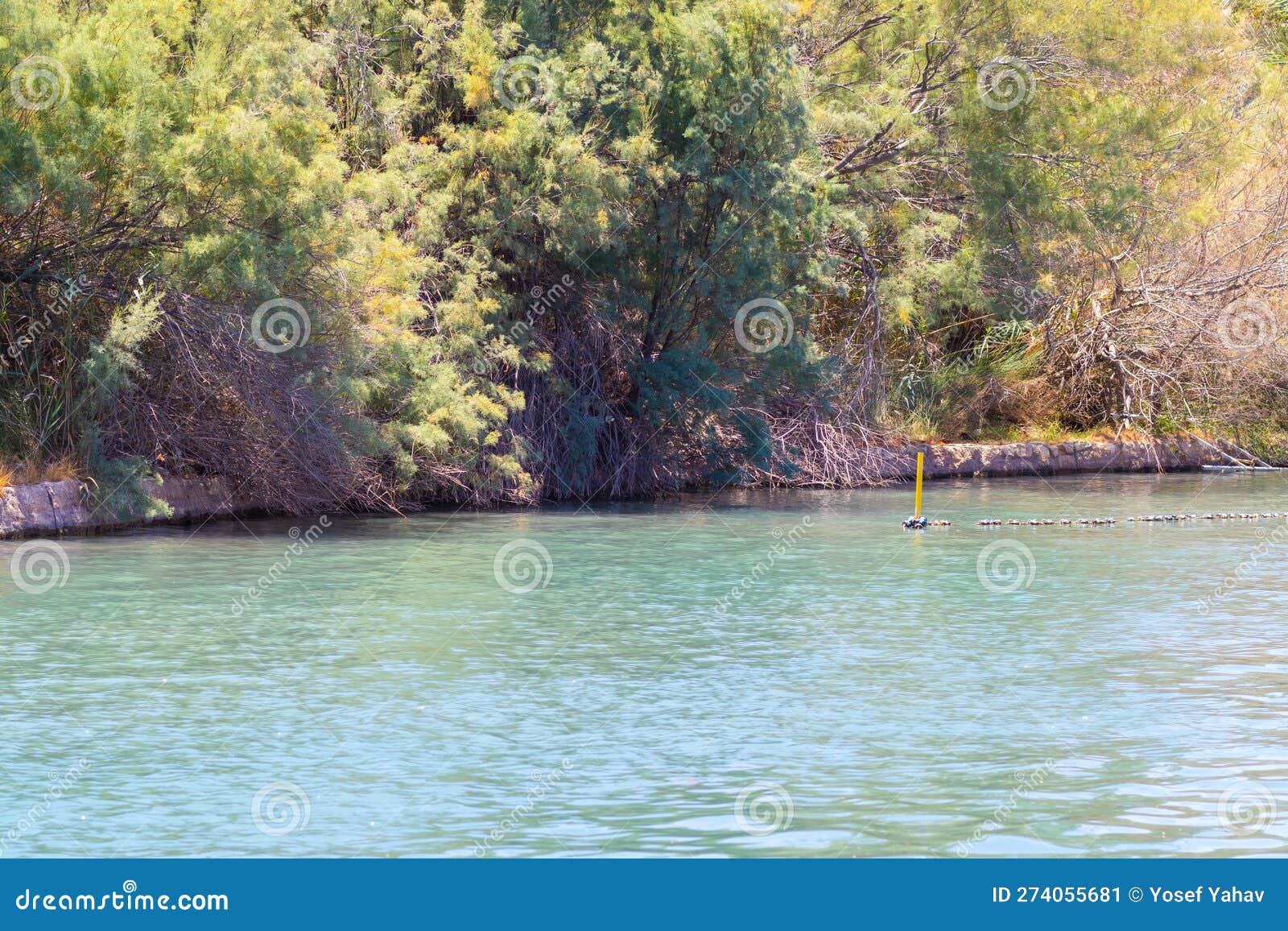 Nahal Hassi - Flows within Kibbutz Nir David. Stock Image - Image of ...