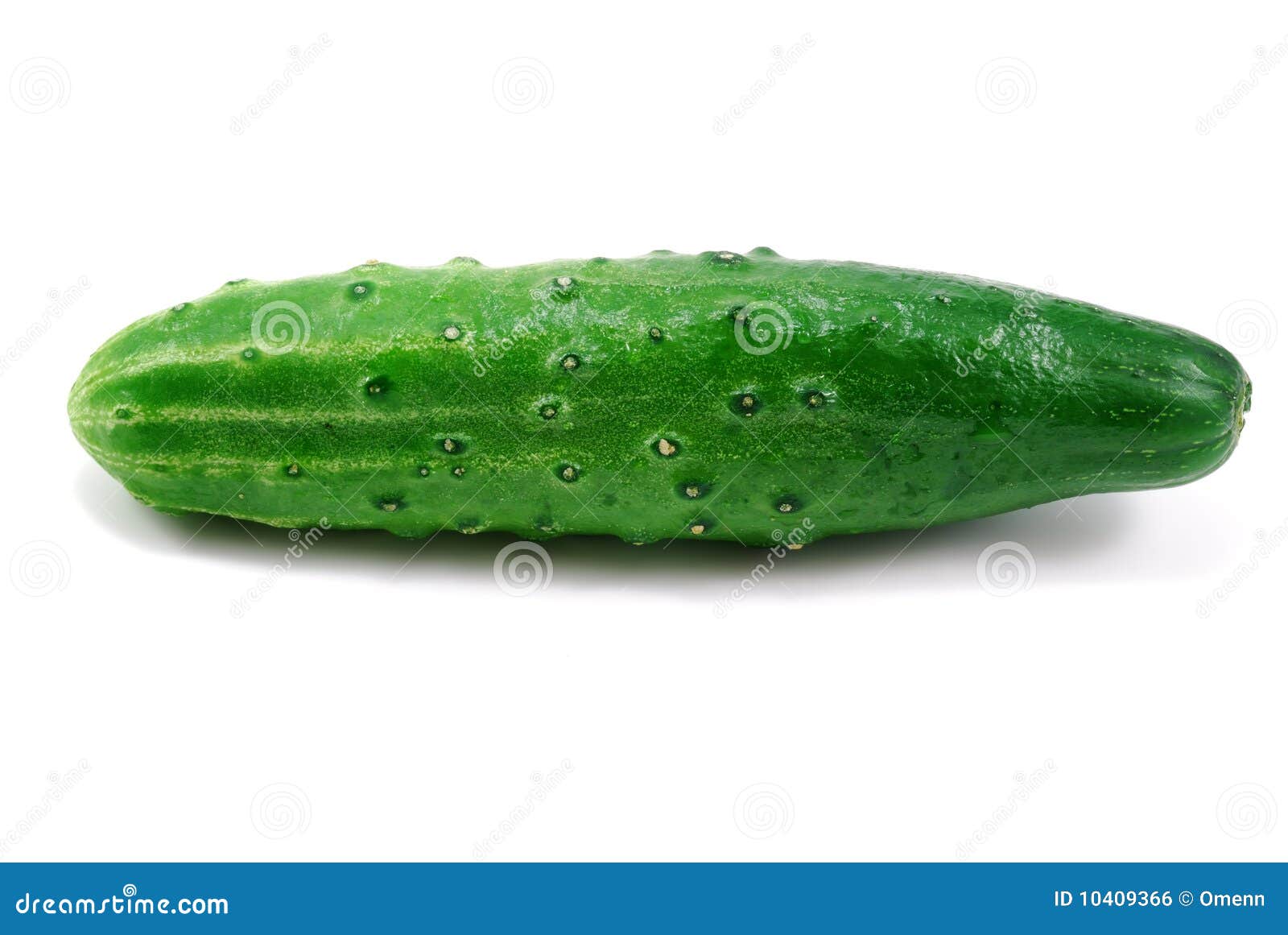 Nahaufnahmefoto Der Einzelnen Gurke Stockfoto - Bild von gurke, nähren ...