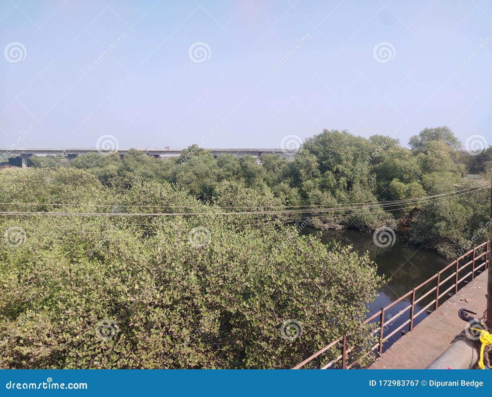 Naigaon Bridge Overlooking the New Bridge Construction Stock Image ...