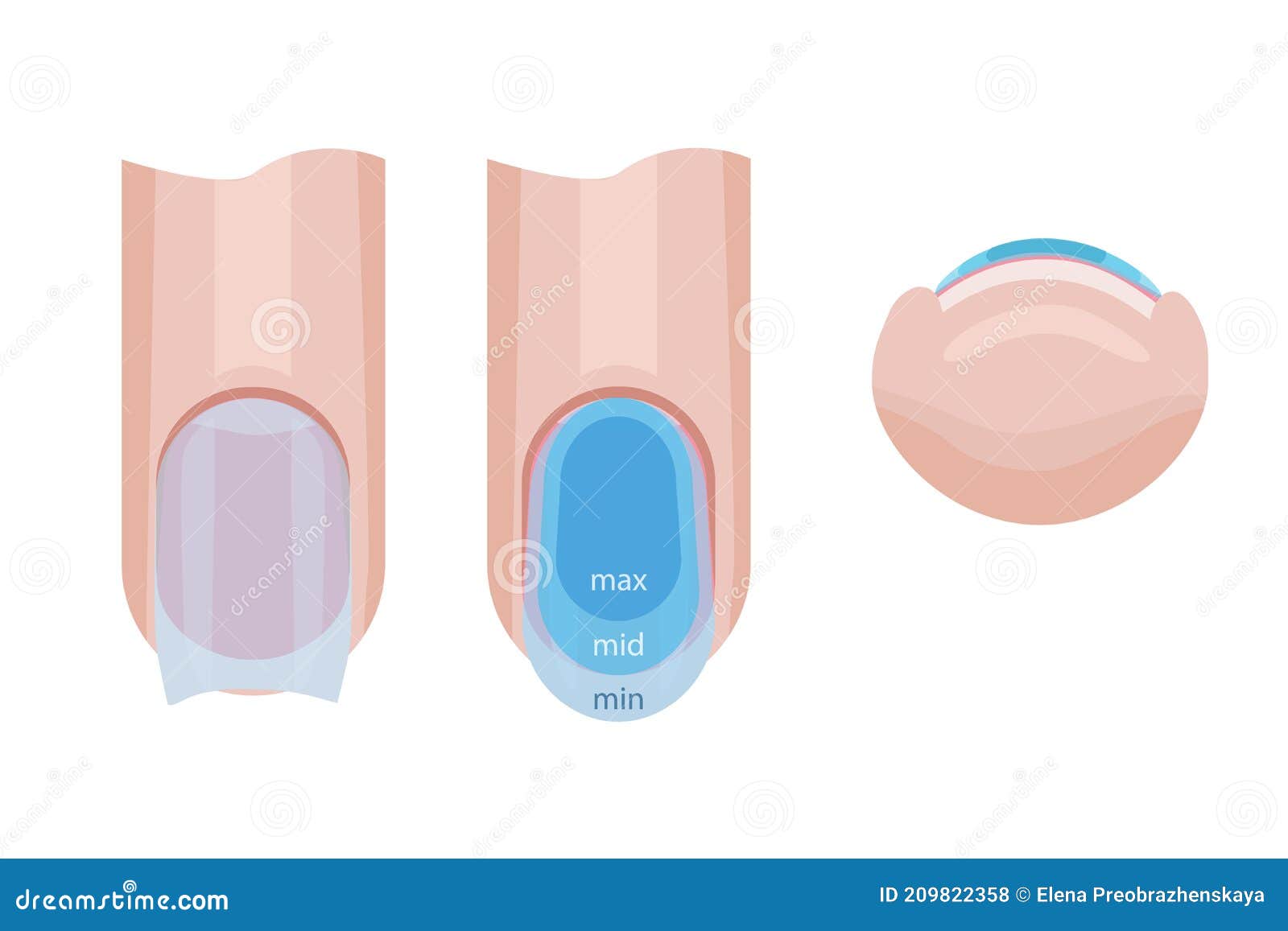 Nail Care. Distribution of the Base on the Nail. Illustration for a ...