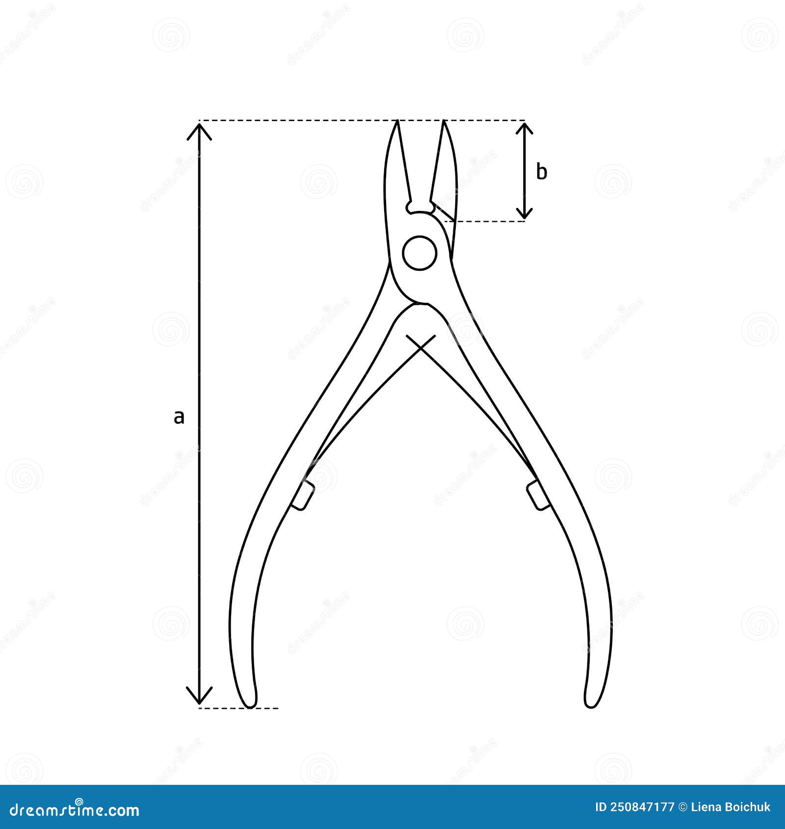 Nail Clipper Vector Black Line Illustration for Beauty School Guide ...