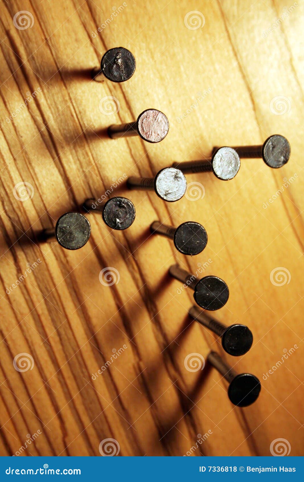 167 Fatality Symbol Stock Photos - Free & Royalty-Free Stock Photos ...