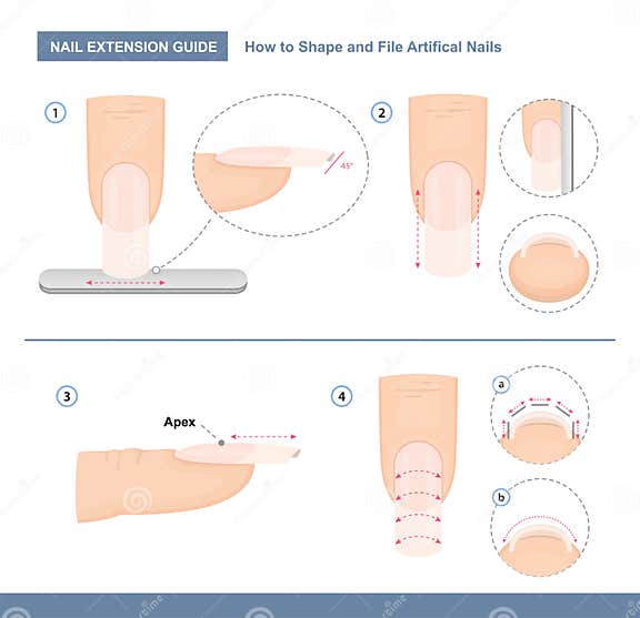 Nail Extension Guide. How To Shape and File Artificial Nails the Right ...