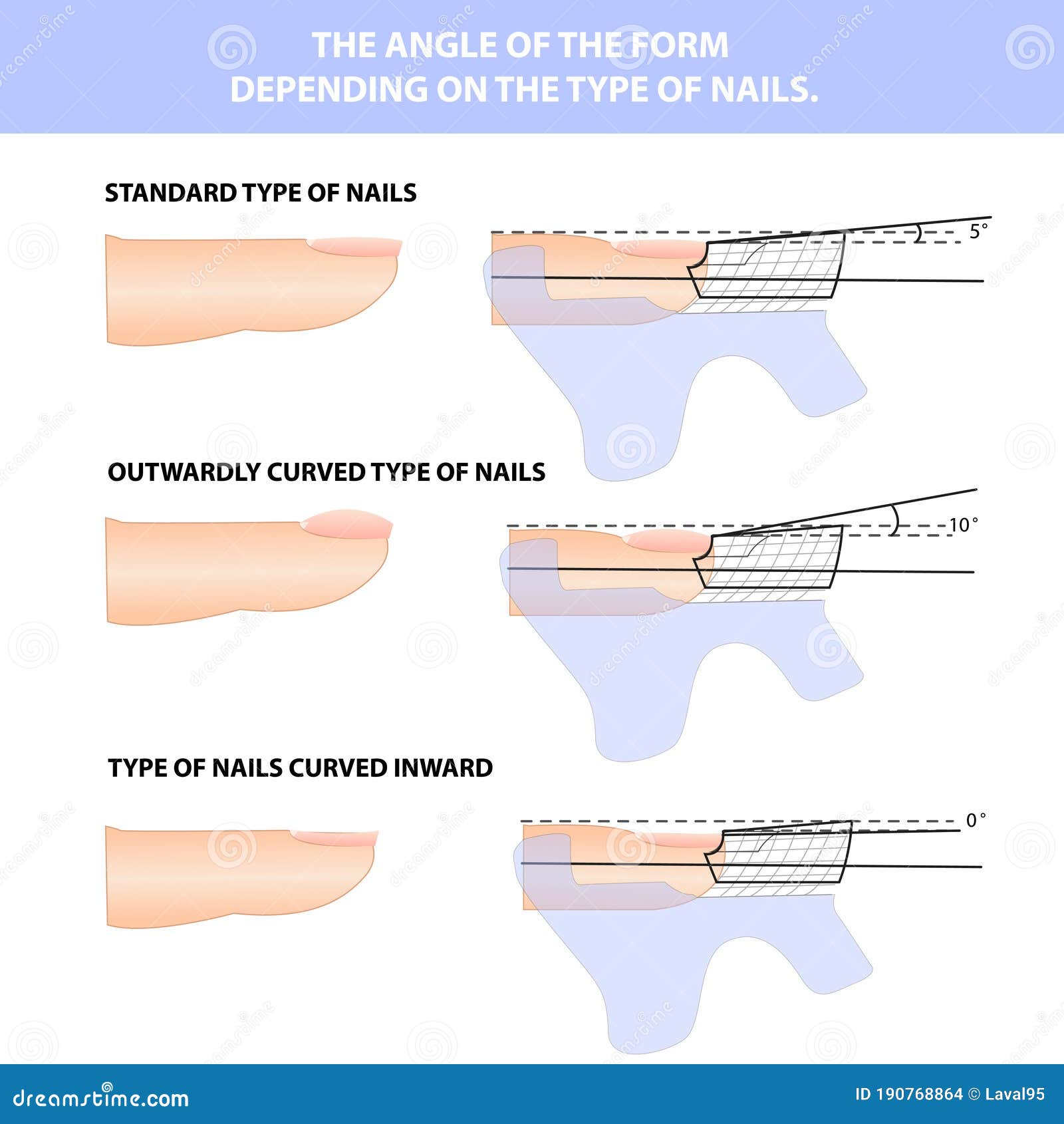Nail Shape Drawing Diagram Vector Template To Create Fashionable Nail ...