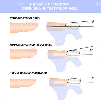 Nail Extension in Shape. How To Apply the Shape of the Nail Stock ...