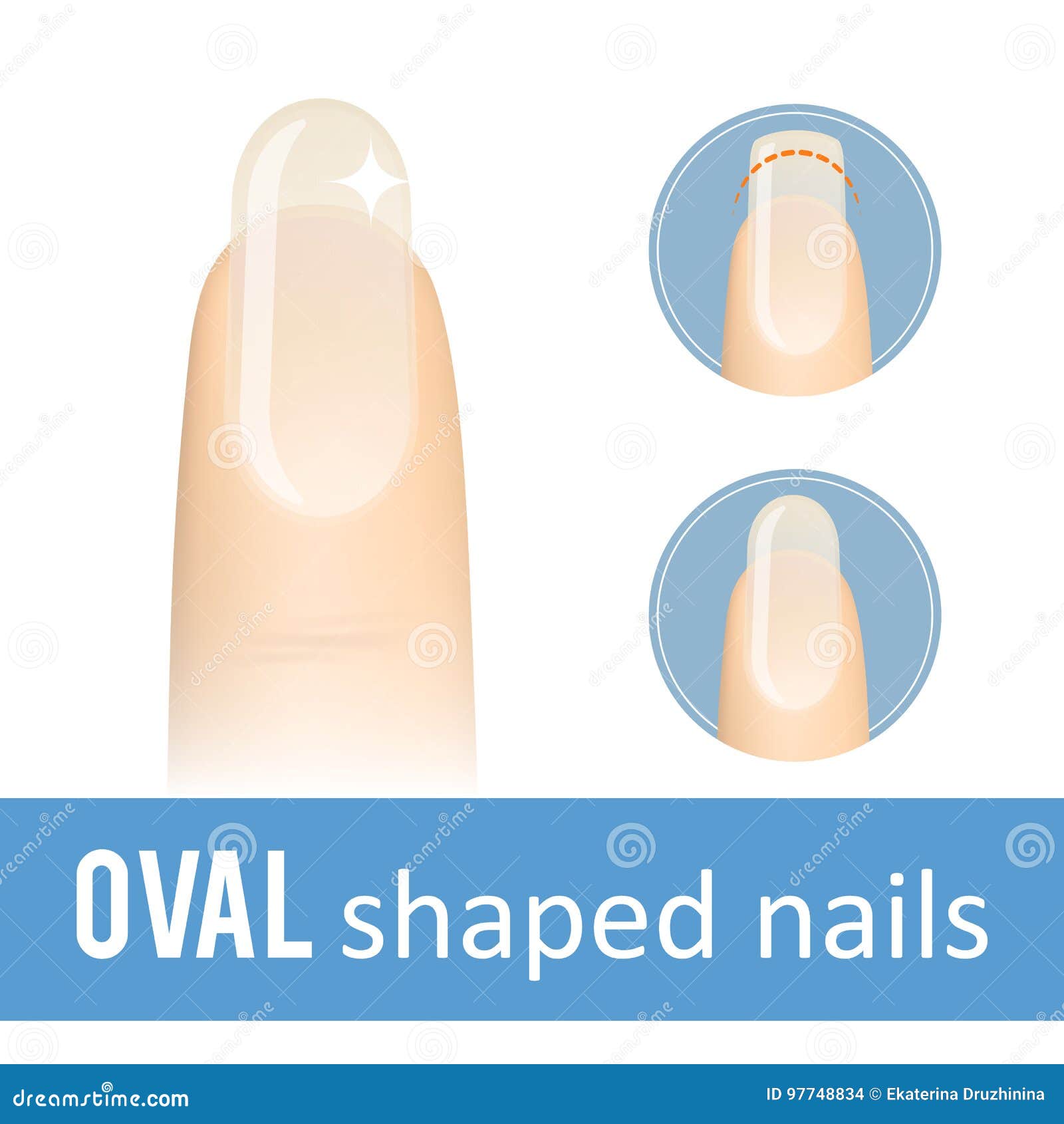 Nail shape oval stock vector. Illustration of design - 97748834