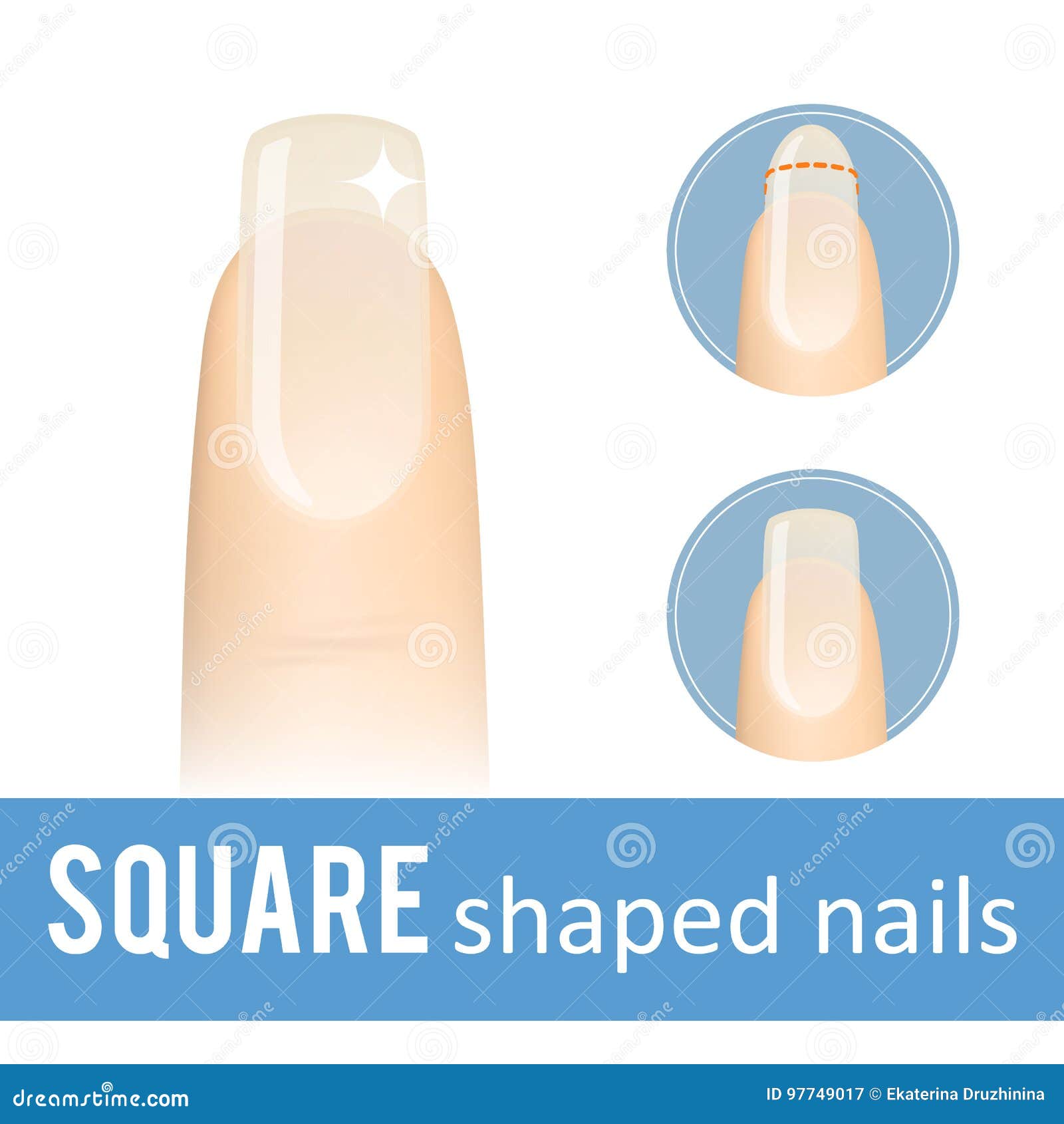 Nail shape square stock vector. Illustration of collection - 97749017