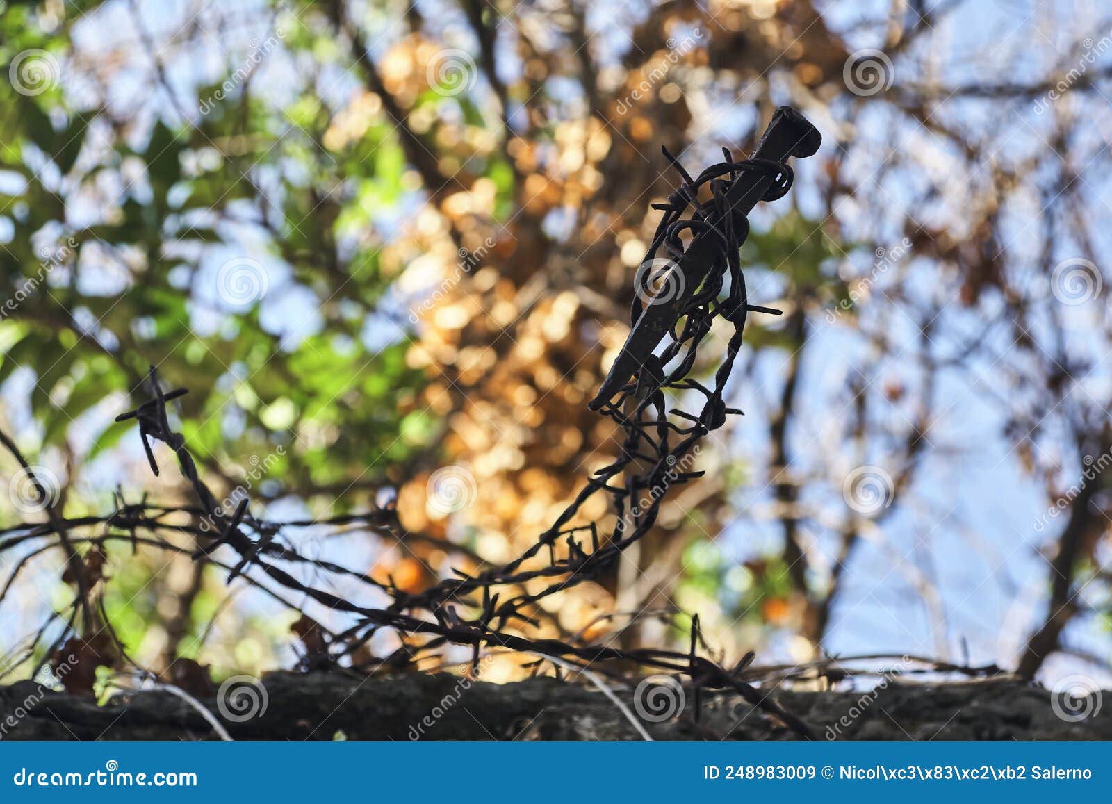 Nail Trapped by Barbed Wire Stock Image - Image of duty, protection ...