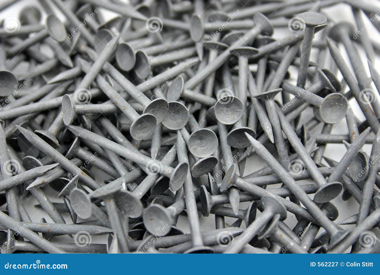 Nails stock image. Image of secure, construction, building - 562227