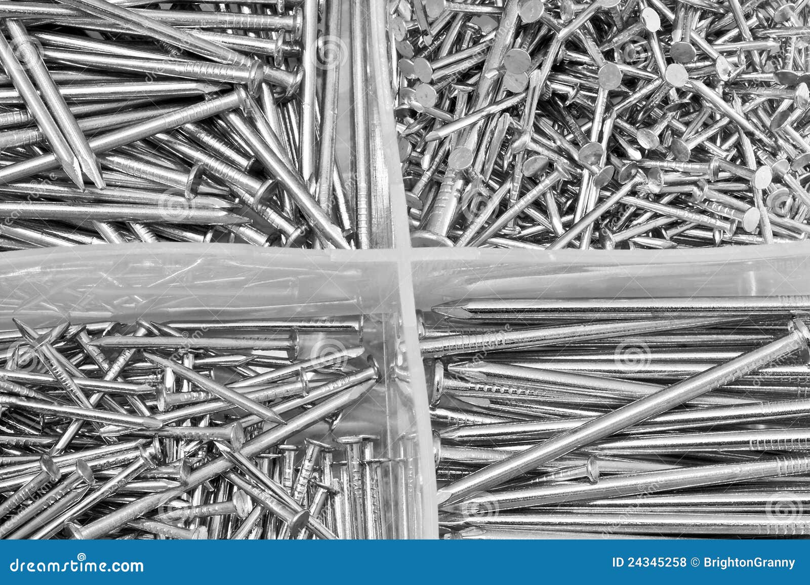 Nails container stock photo. Image of clear, head, sectioned - 24345258